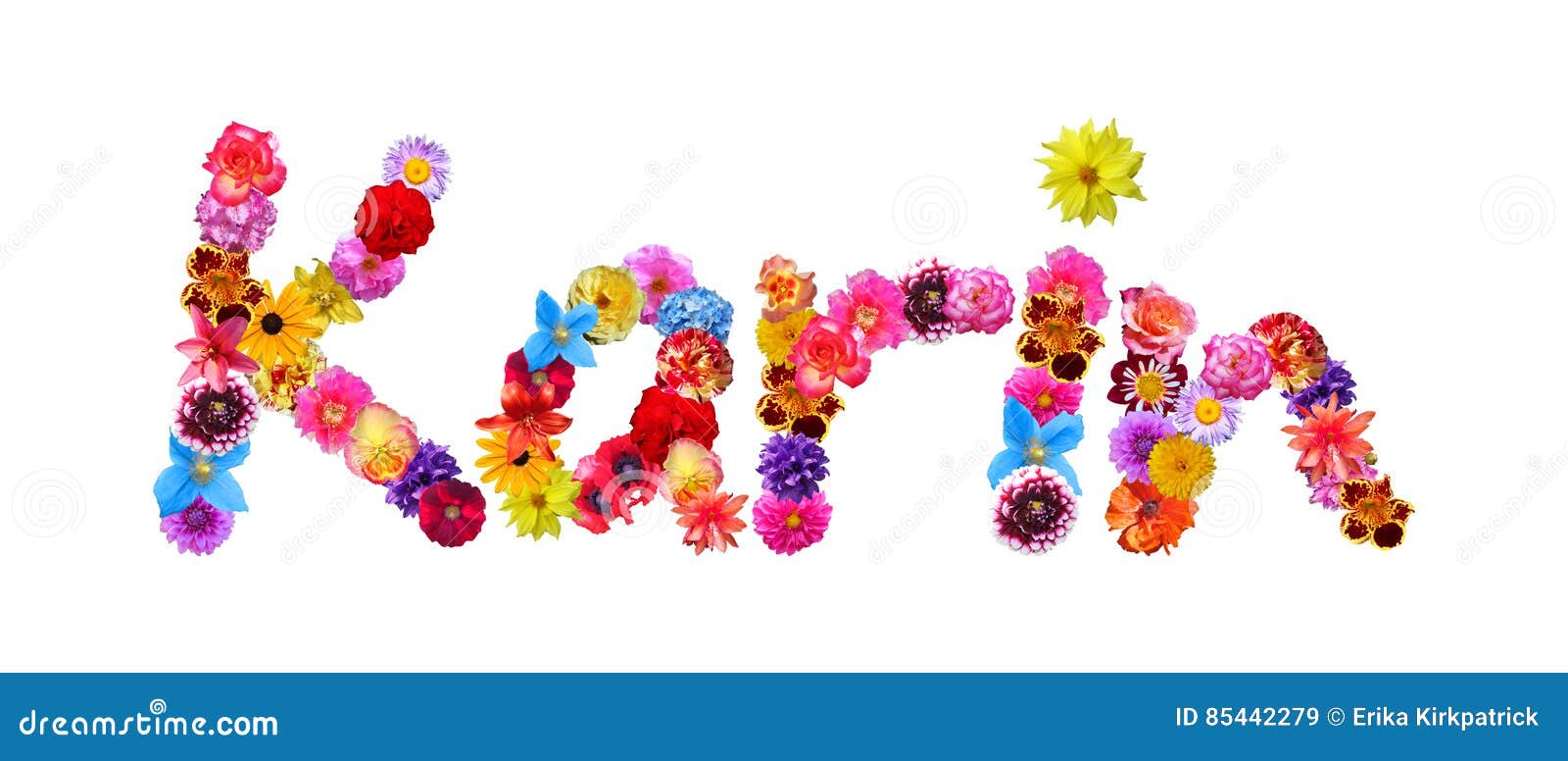 Flowers Name Karin stock illustration. Illustration of multi - 85442279