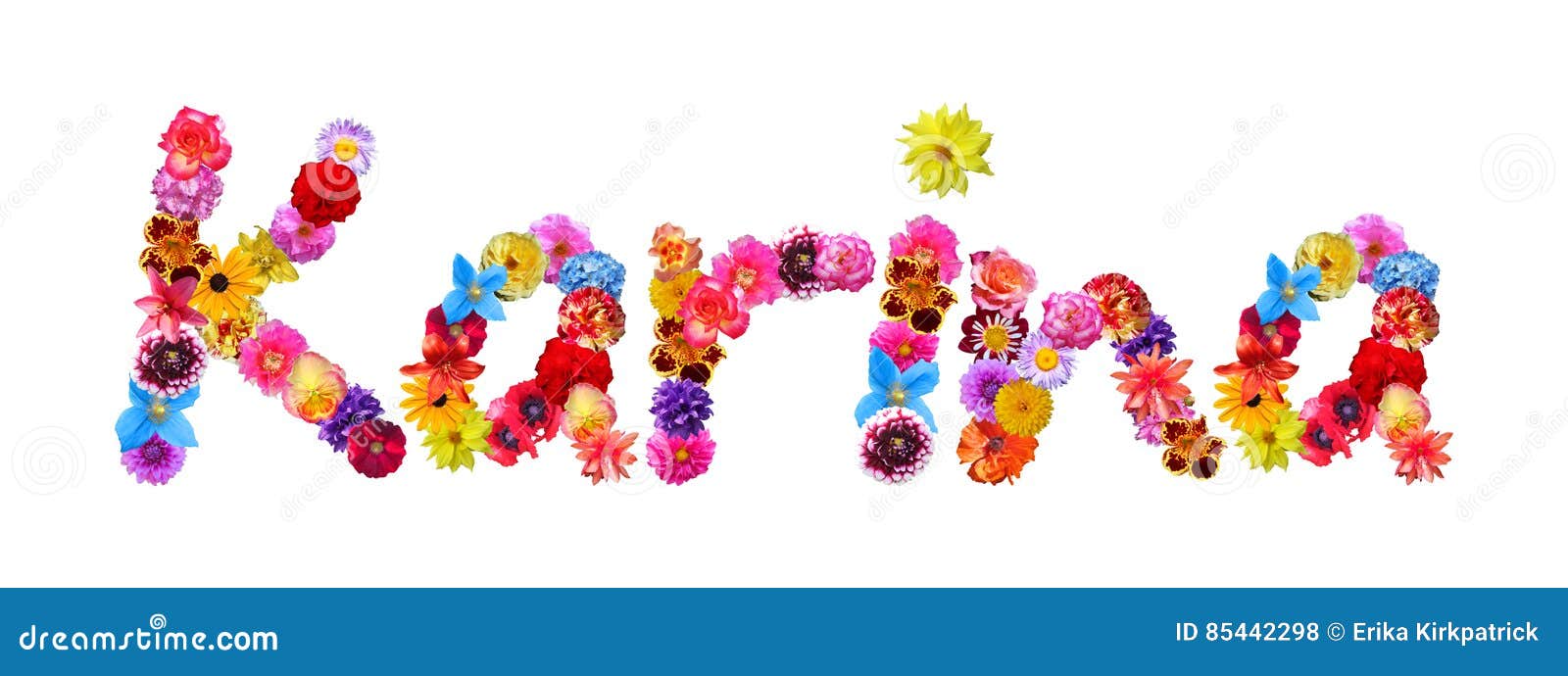 Flowers Name Karina stock illustration. Illustration of color - 85442298
