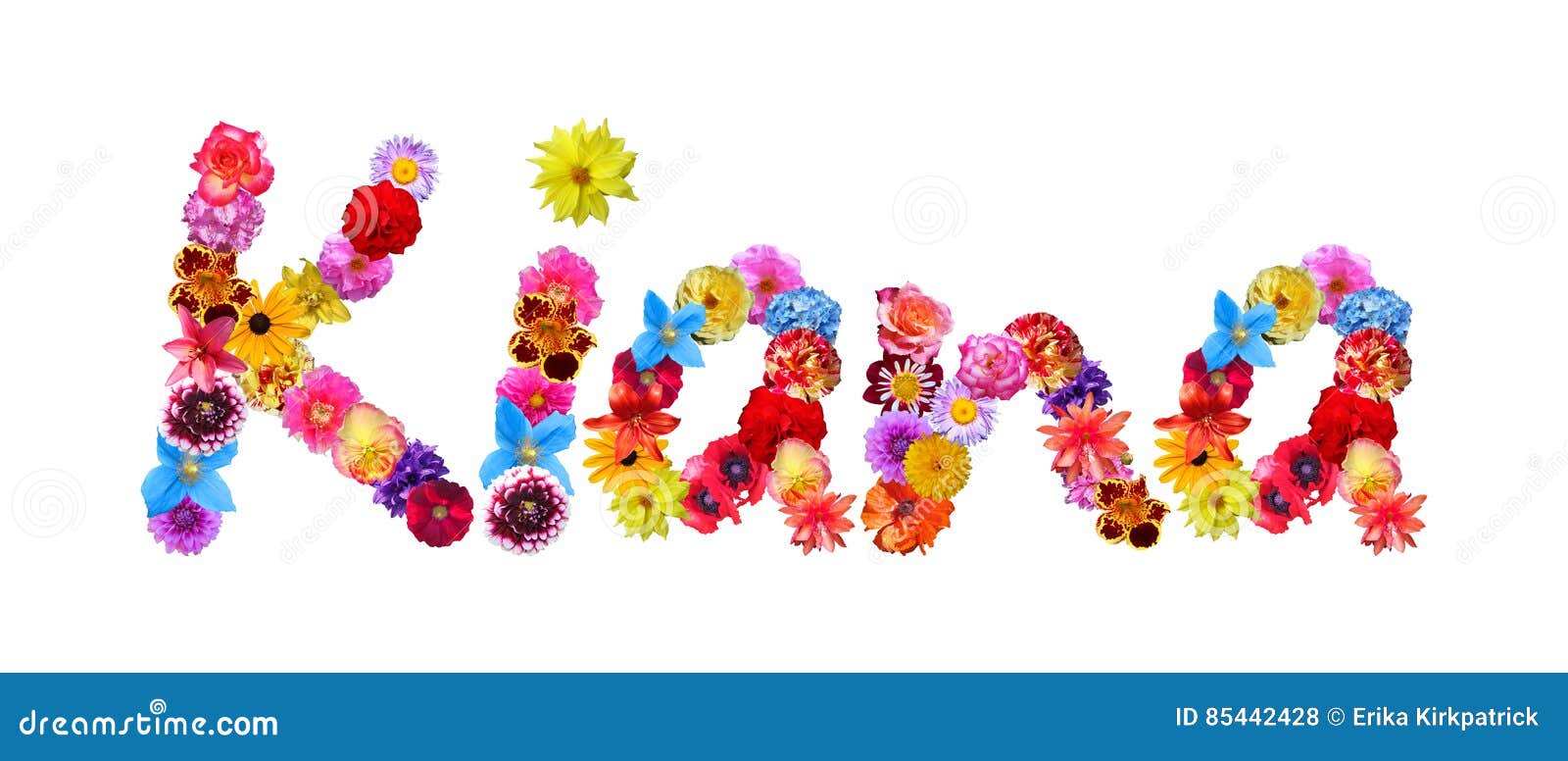 Flowers Name Kiana stock illustration. Illustration of decoration ...