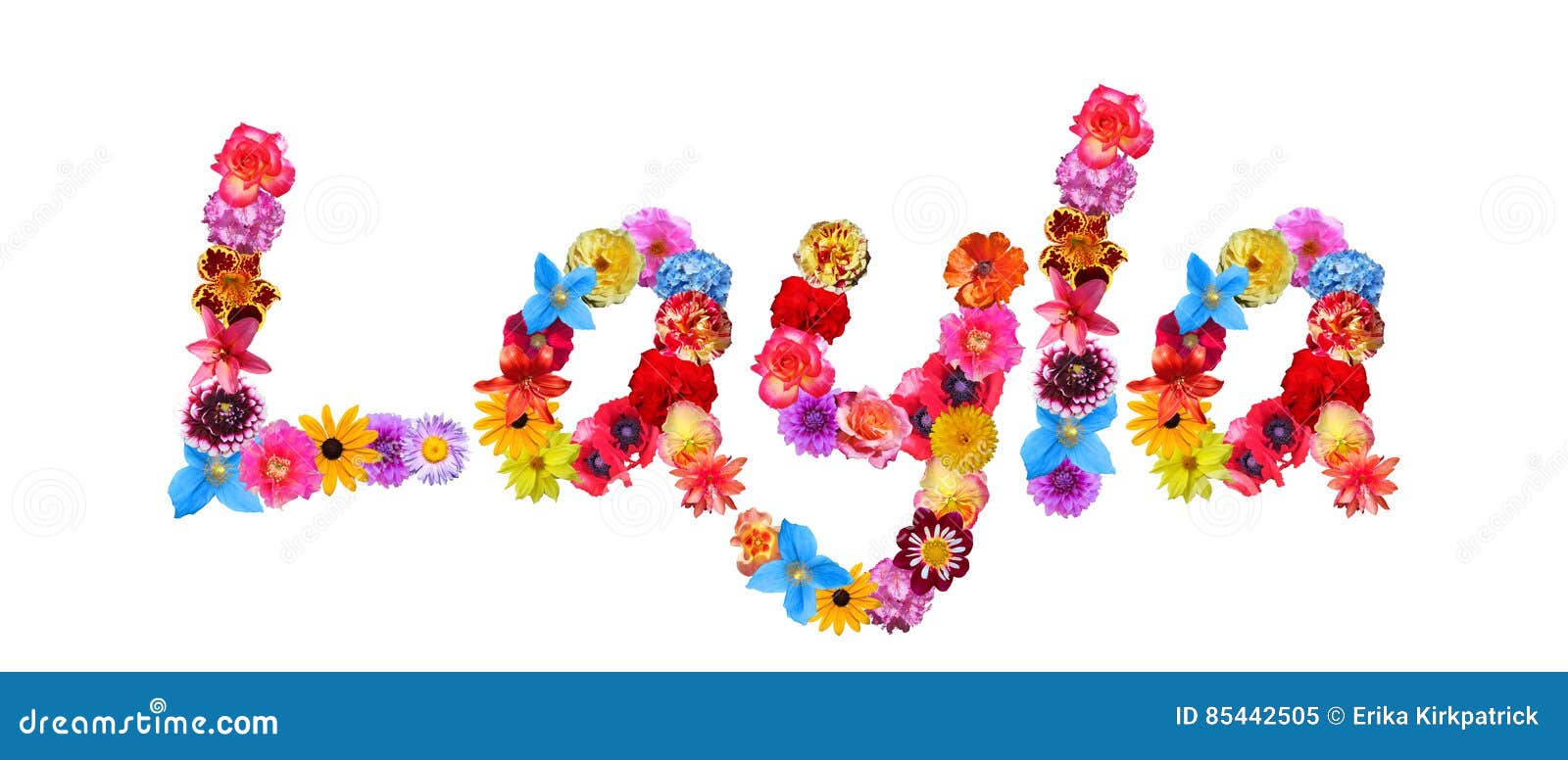 Flowers Name Layla stock illustration. Illustration of flower - 85442505