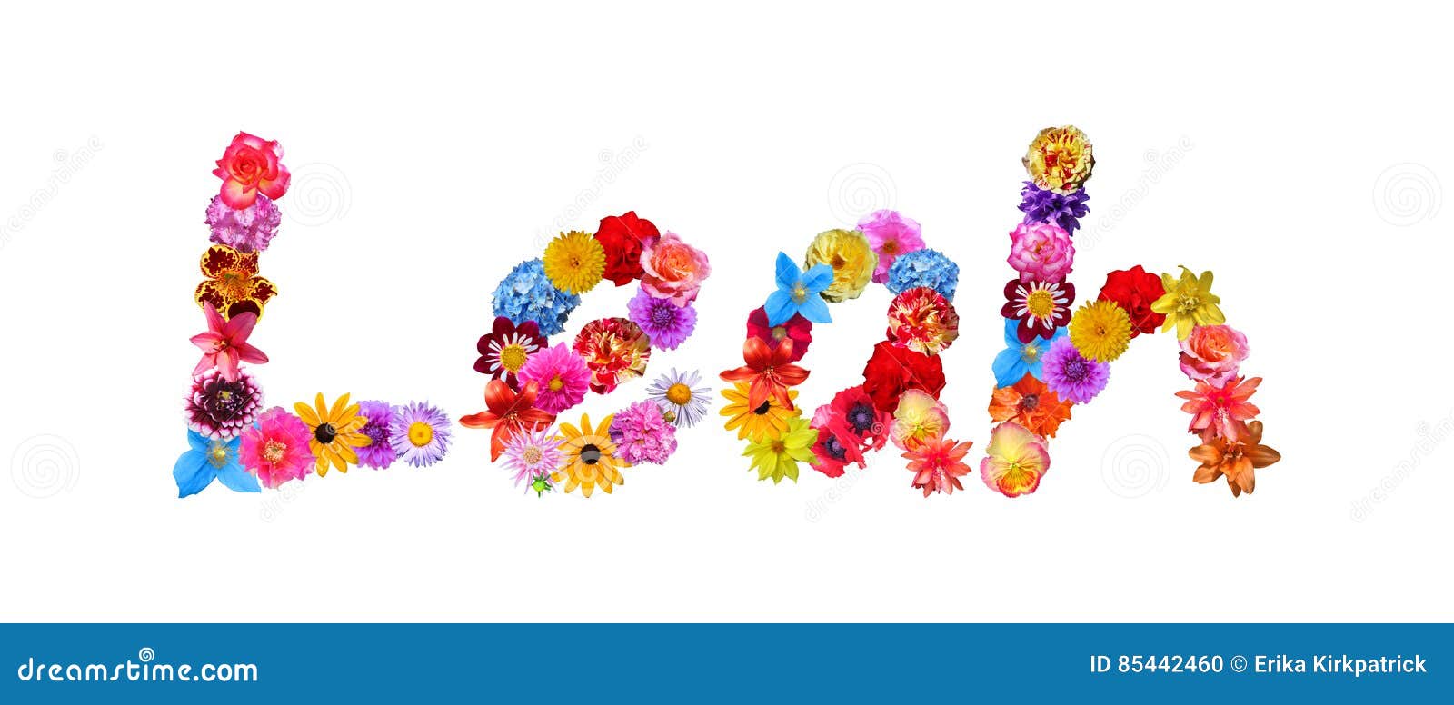 Flowers Name Leah stock illustration. Illustration of baby - 85442460