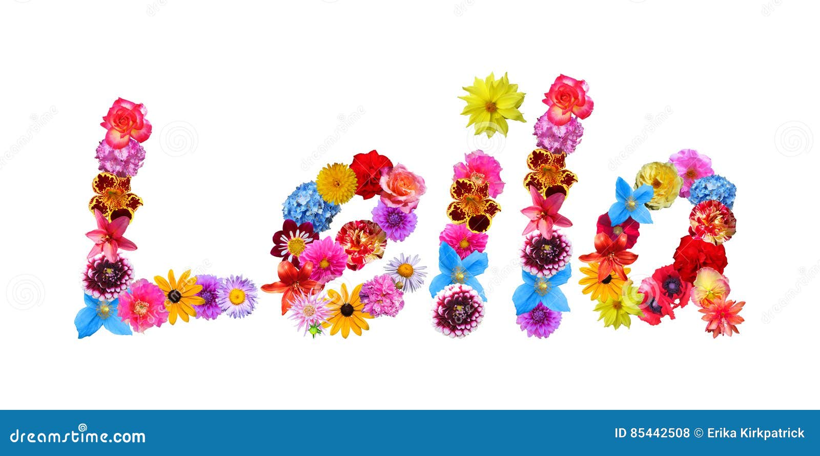 Flowers Name Leila stock illustration. Illustration of card - 85442508