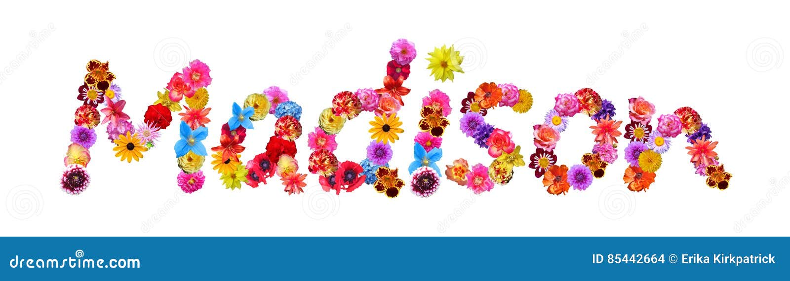 Flowers Name Madison stock illustration. Illustration of customize ...