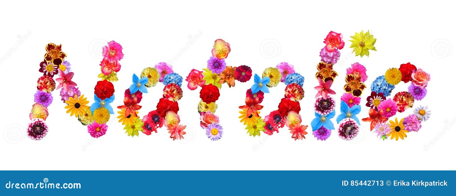 Flowers Name Natalie stock illustration. Illustration of baby - 85442713