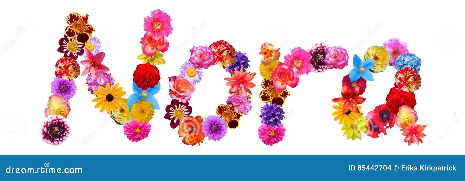 Name Nora In Various Retro Graphic Design Elements, Set Of Vector Retro ...