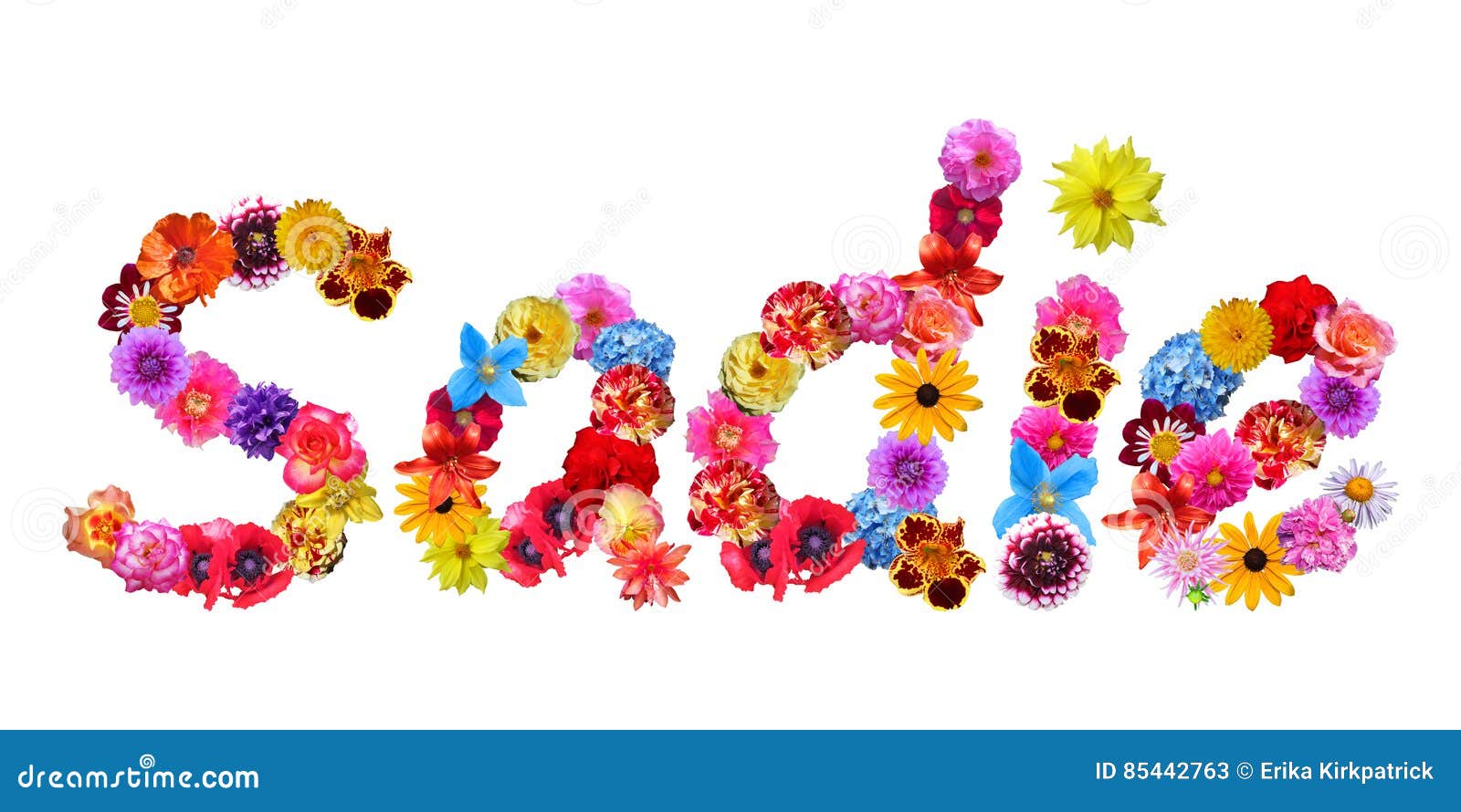 Flowers Name Sadie stock illustration. Illustration of name - 85442763