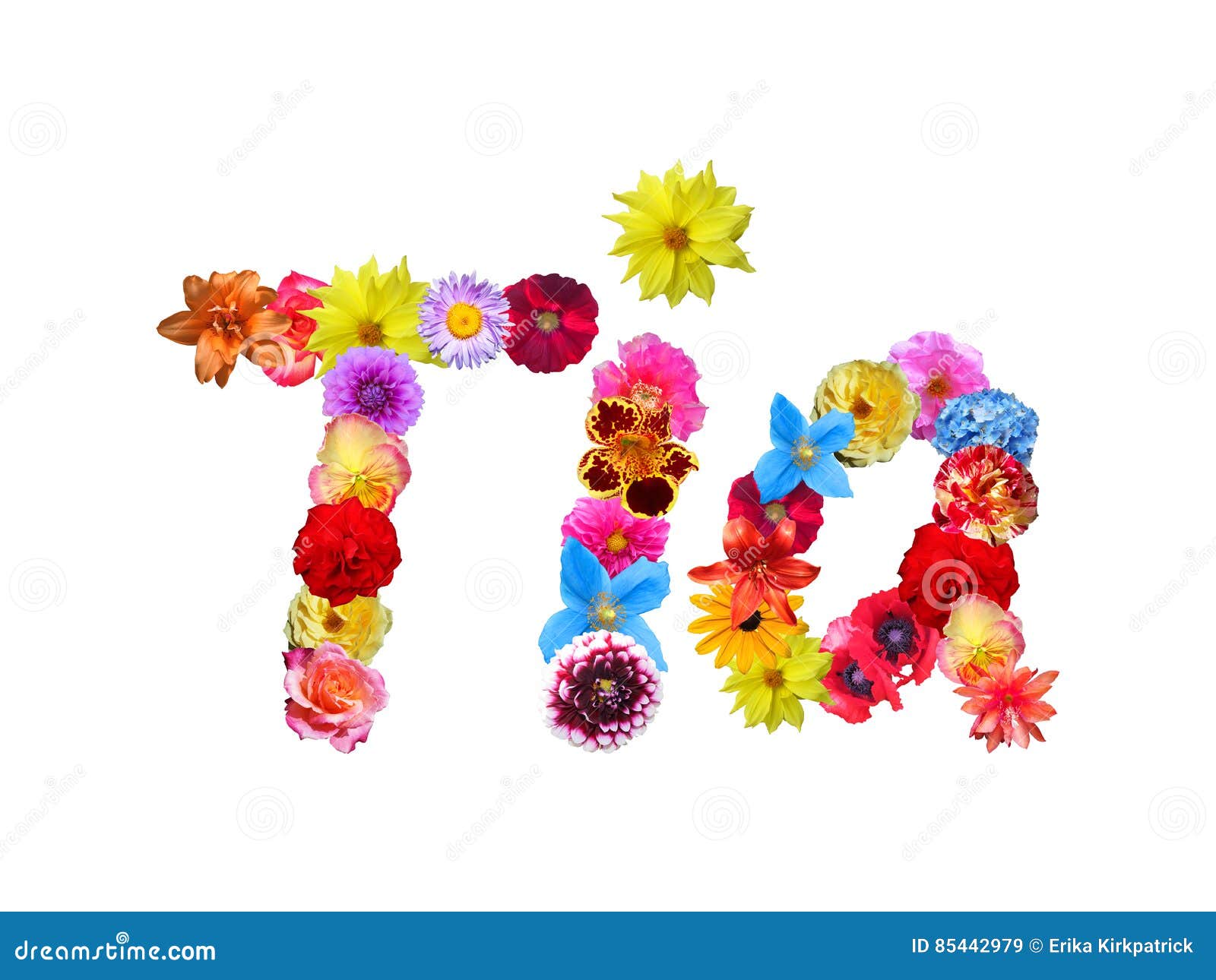 Flowers Name Tia stock illustration. Illustration of colorful - 85442979