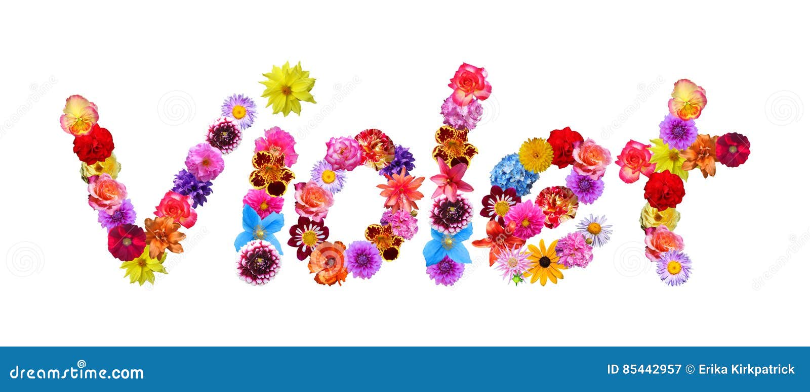 Flowers Name Violet stock illustration. Illustration of nature - 85442957