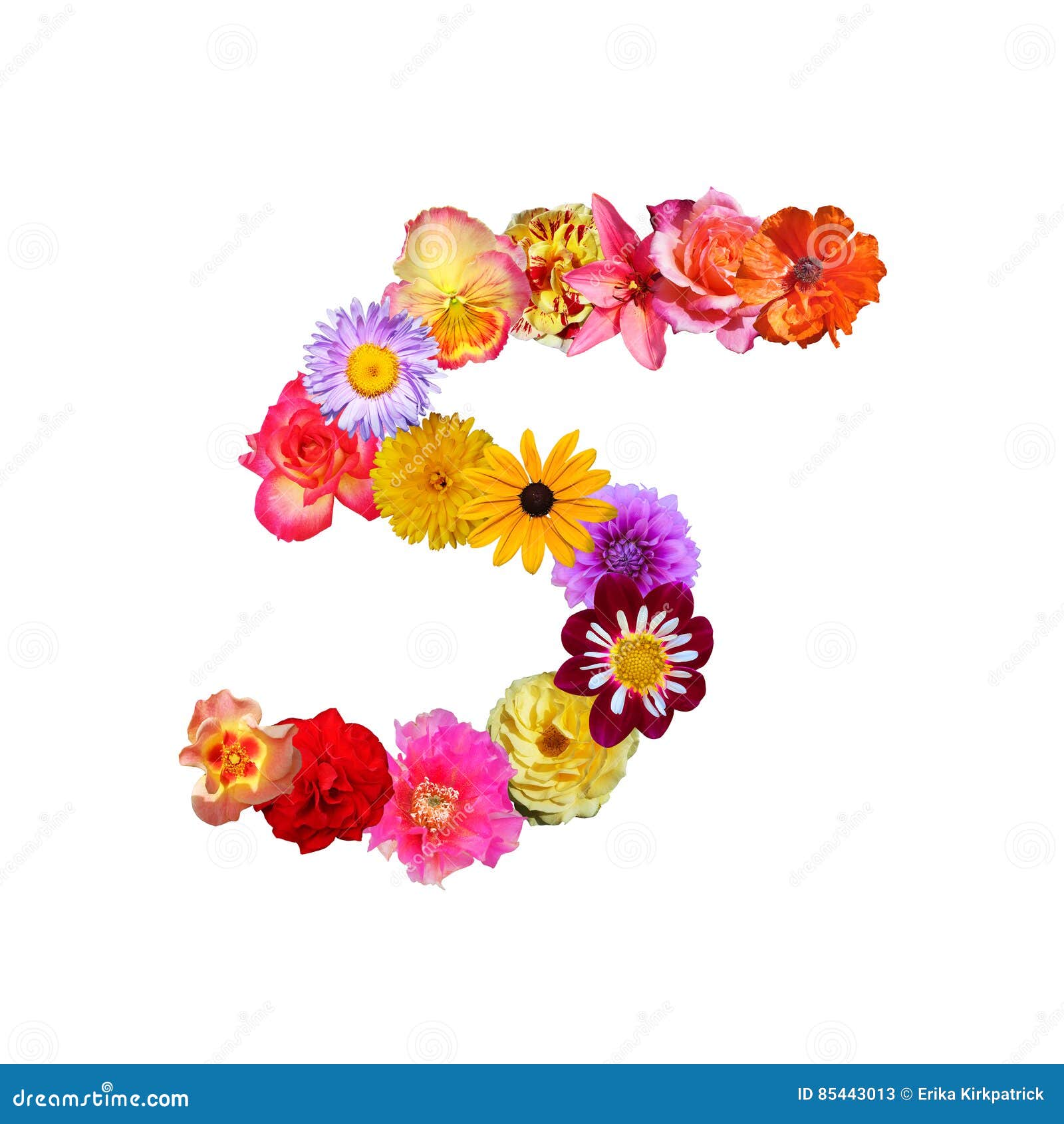Flowers Number Five stock illustration. Illustration of floral - 85443013