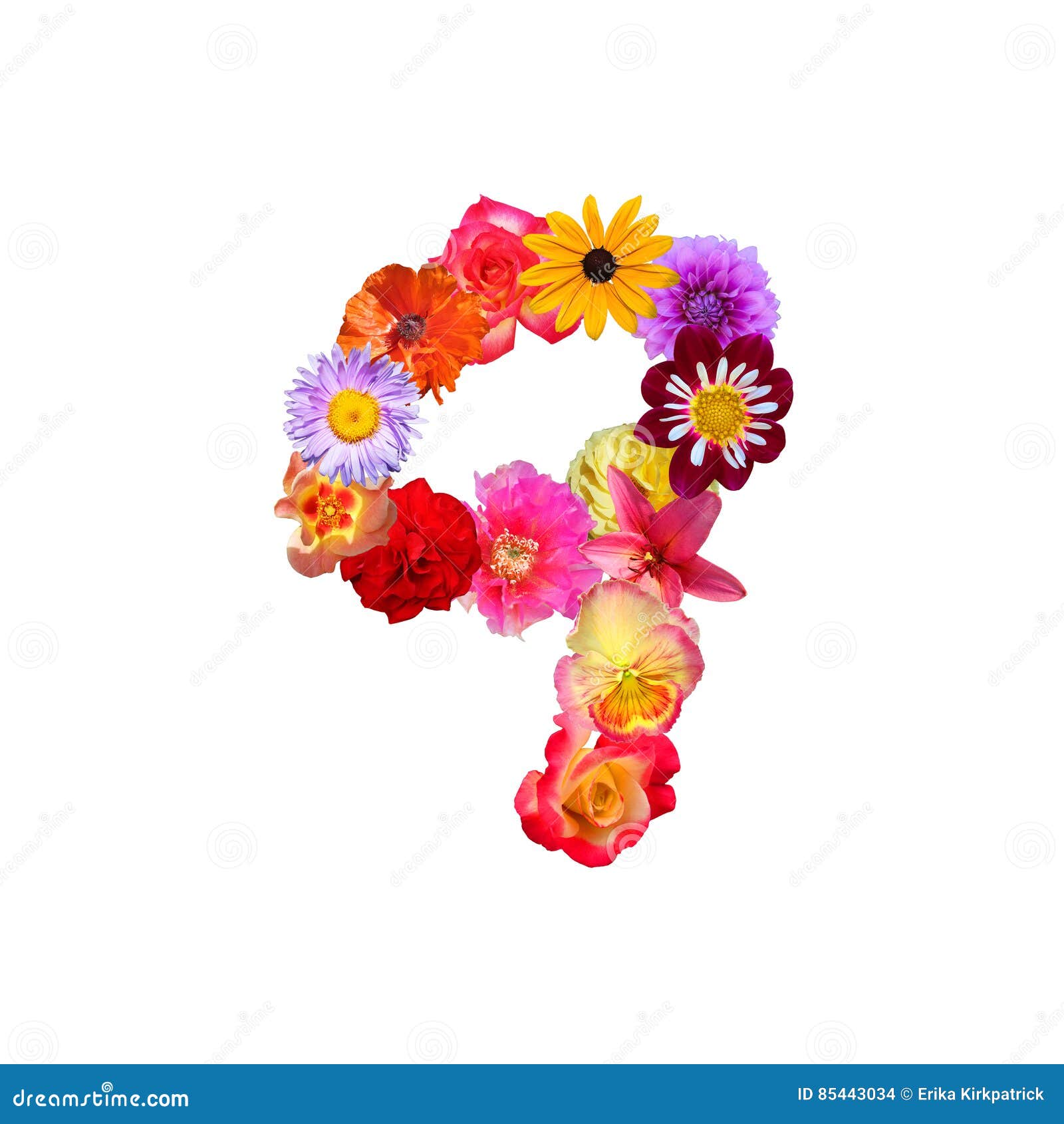 Flowers Number Nine stock illustration. Illustration of girl - 85443034