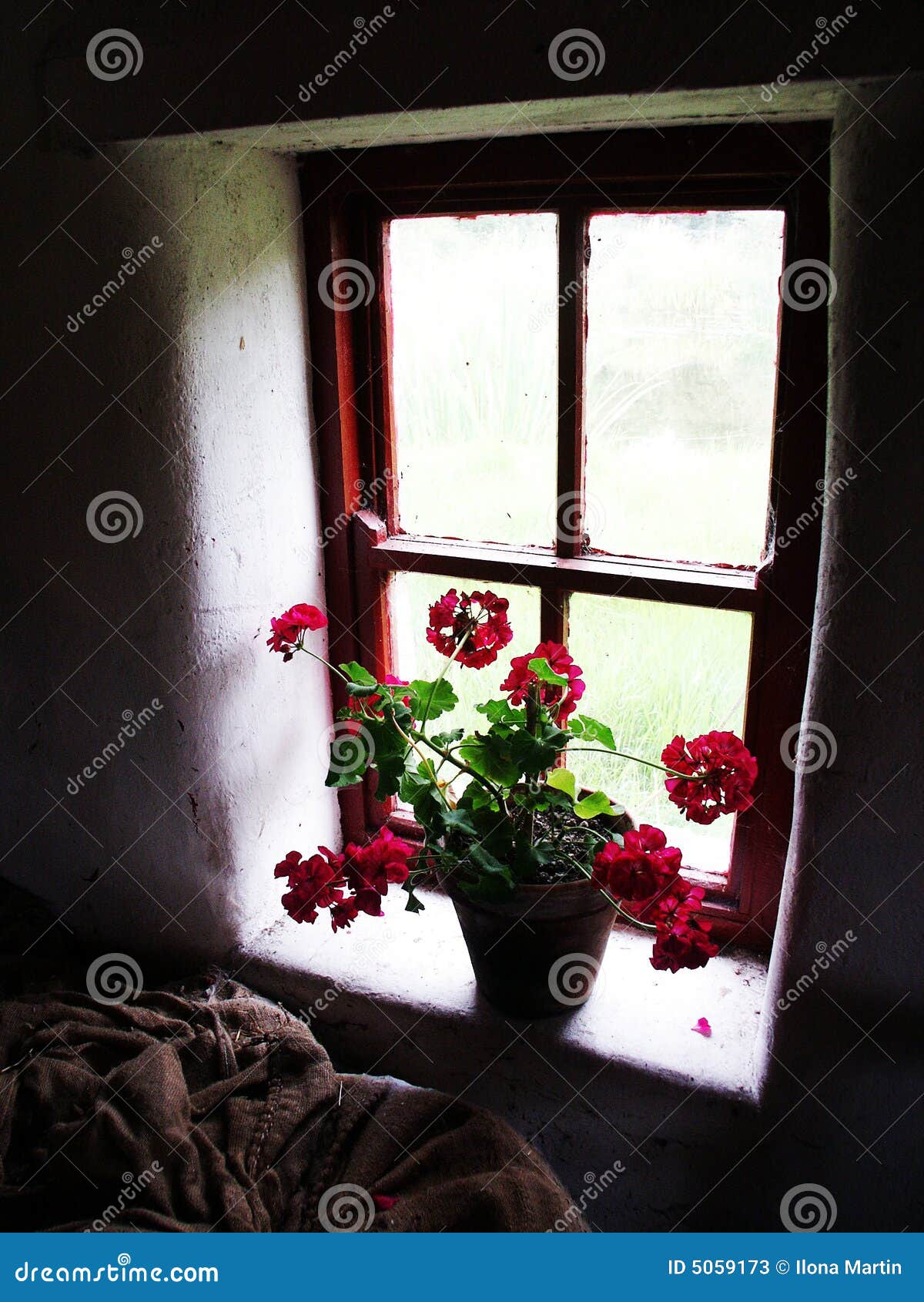 Flowers in old mill window stock image. Image of flowers - 5059173