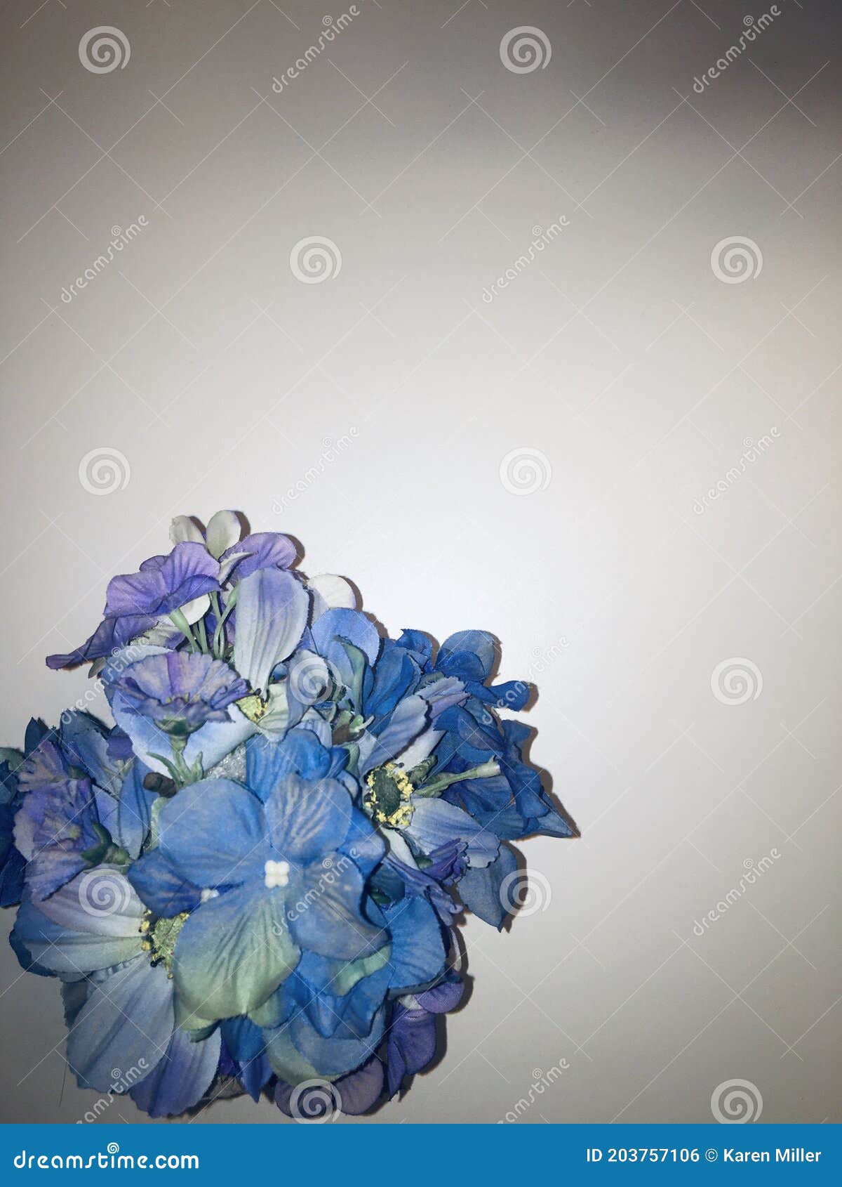 Flowers Over Negative Space Stock Photo - Image of vivid, space: 203757106