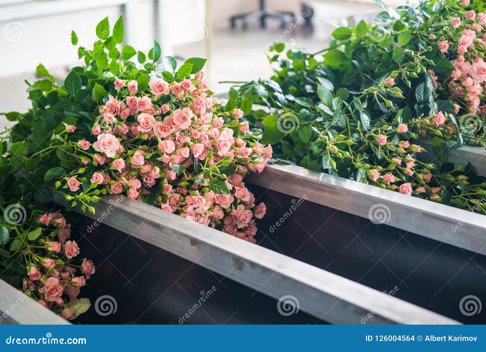 Flowers packaging process stock photo. Image of beauty - 126004564