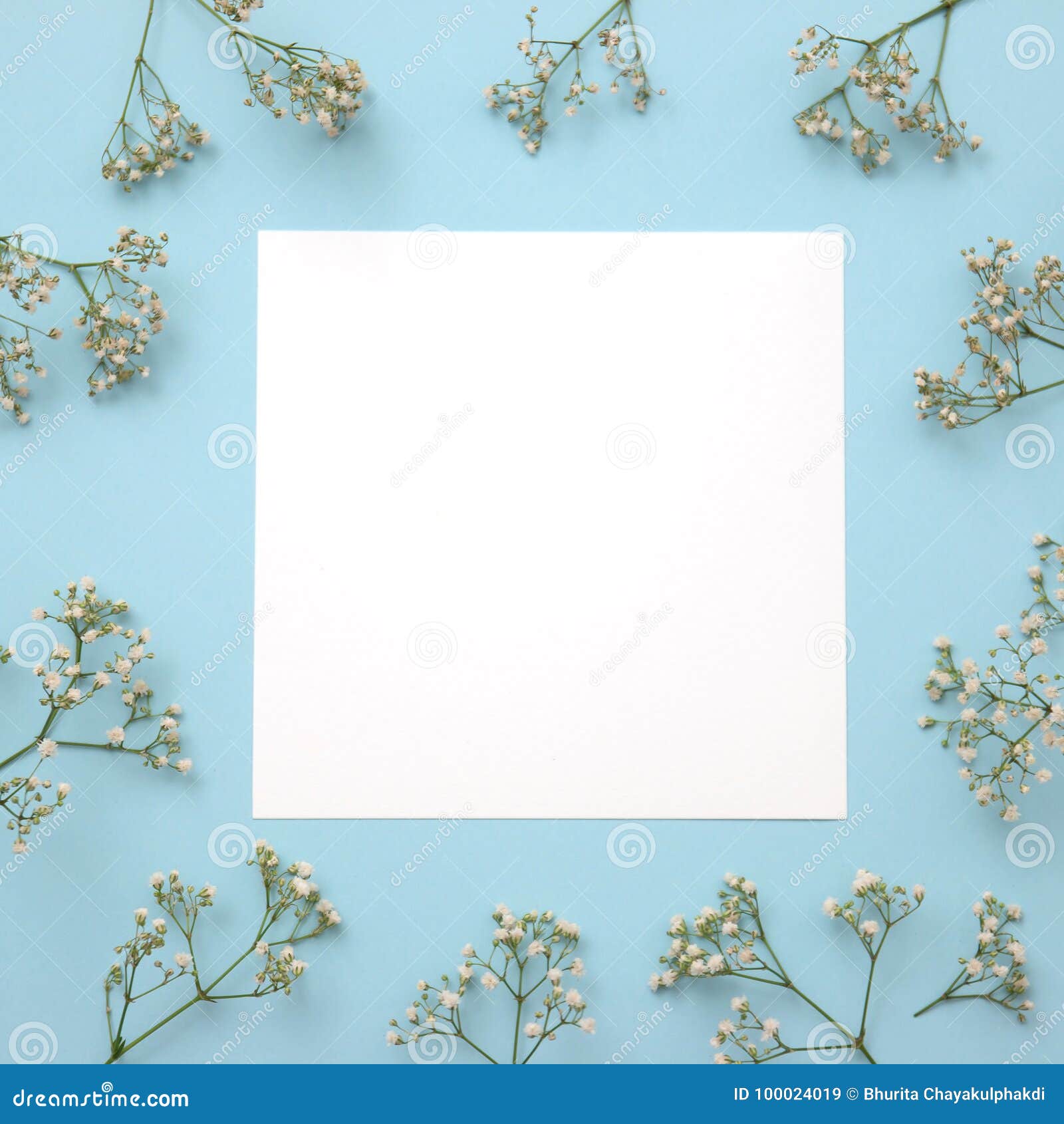 Flowers with Paper Card Note Stock Image - Image of layout, green ...
