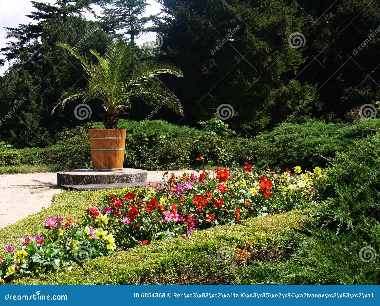 Flowers in the park stock photo. Image of landscaped, natural - 6054368