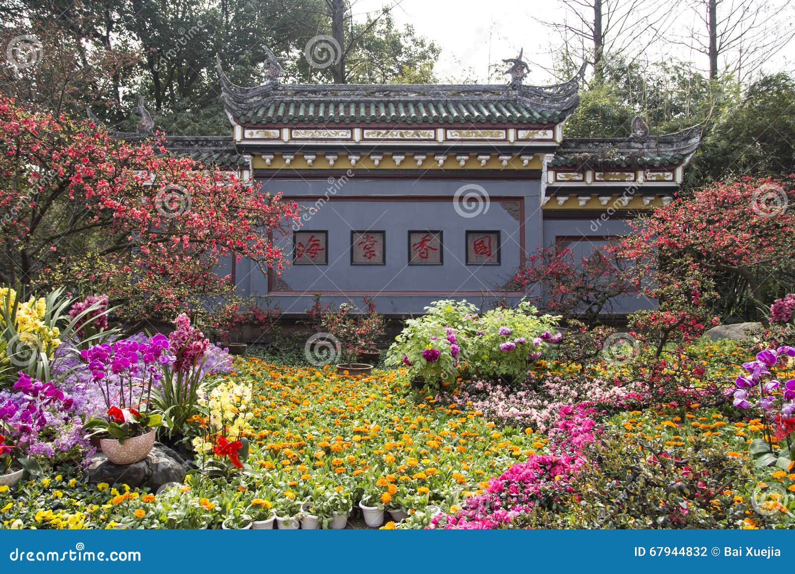Flowers in a Park,chengdu,china Stock Photo - Image of travel, sunlight ...
