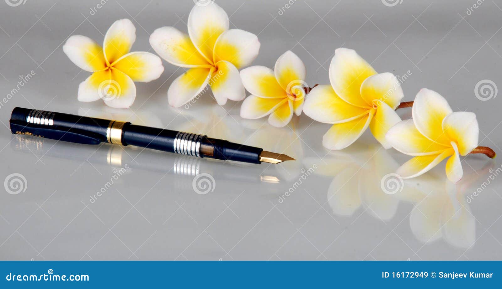 Flowers and pen stock image. Image of communicate, book - 16172949