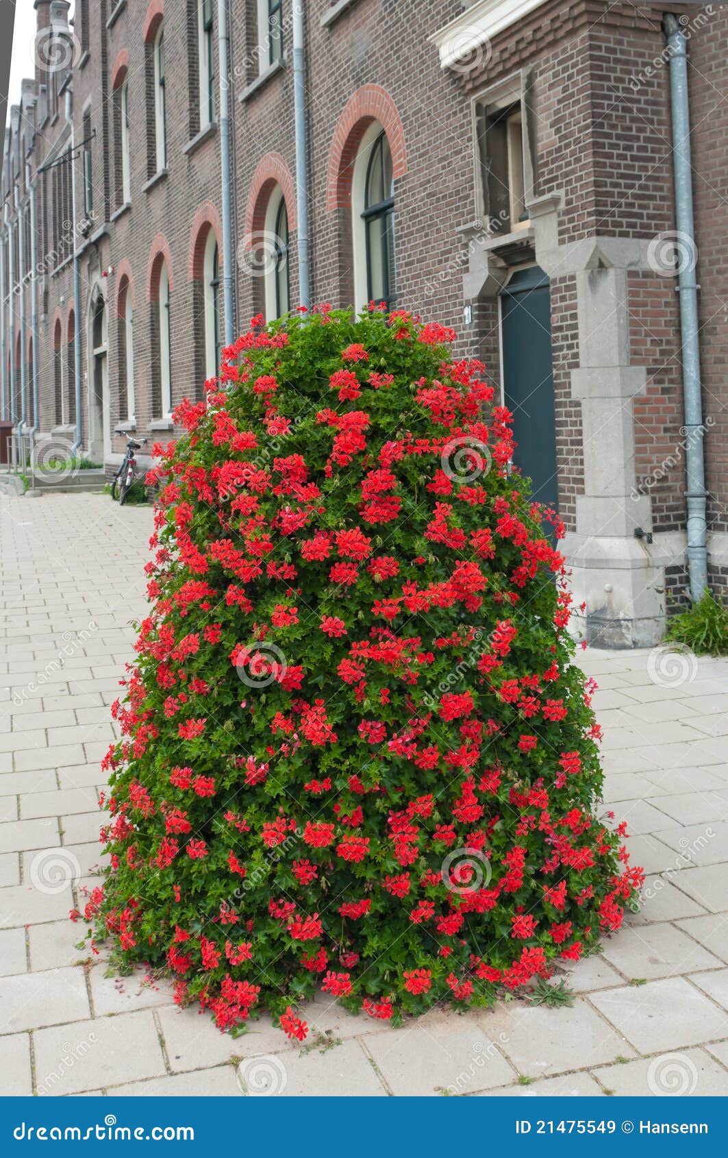Flowers in planter stock image. Image of color, leaf - 21475549