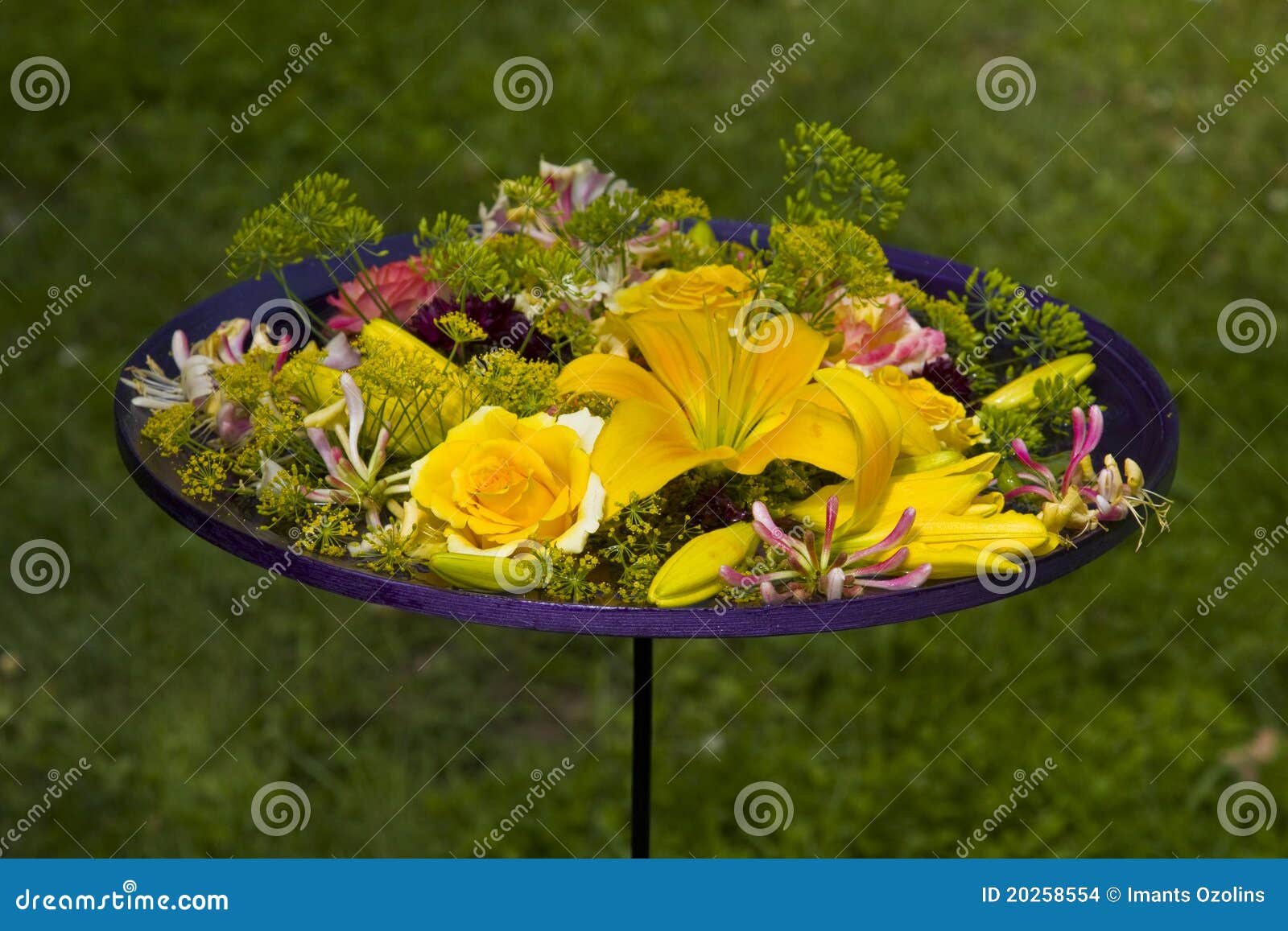 Flowers on plate stock photo. Image of gourmet, materials - 20258554