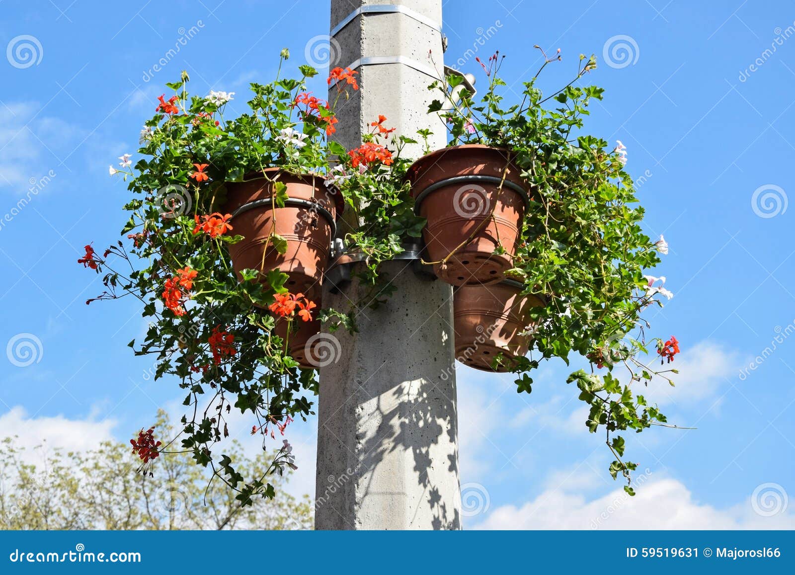 Flowers on a pole stock image. Image of wildflower, plant - 59519631
