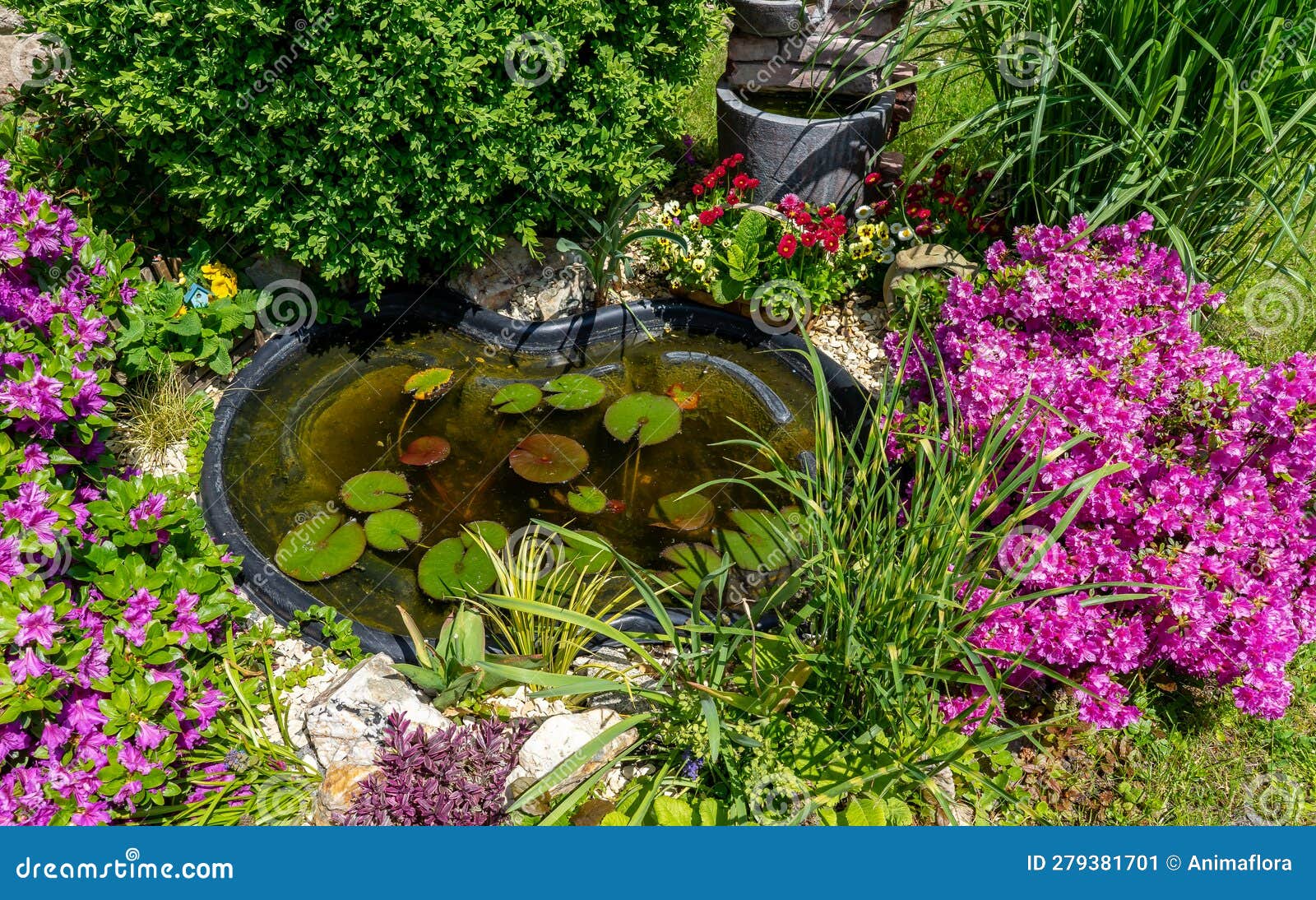 Flowers and Pond in the Garden Stock Image - Image of plant, flower ...