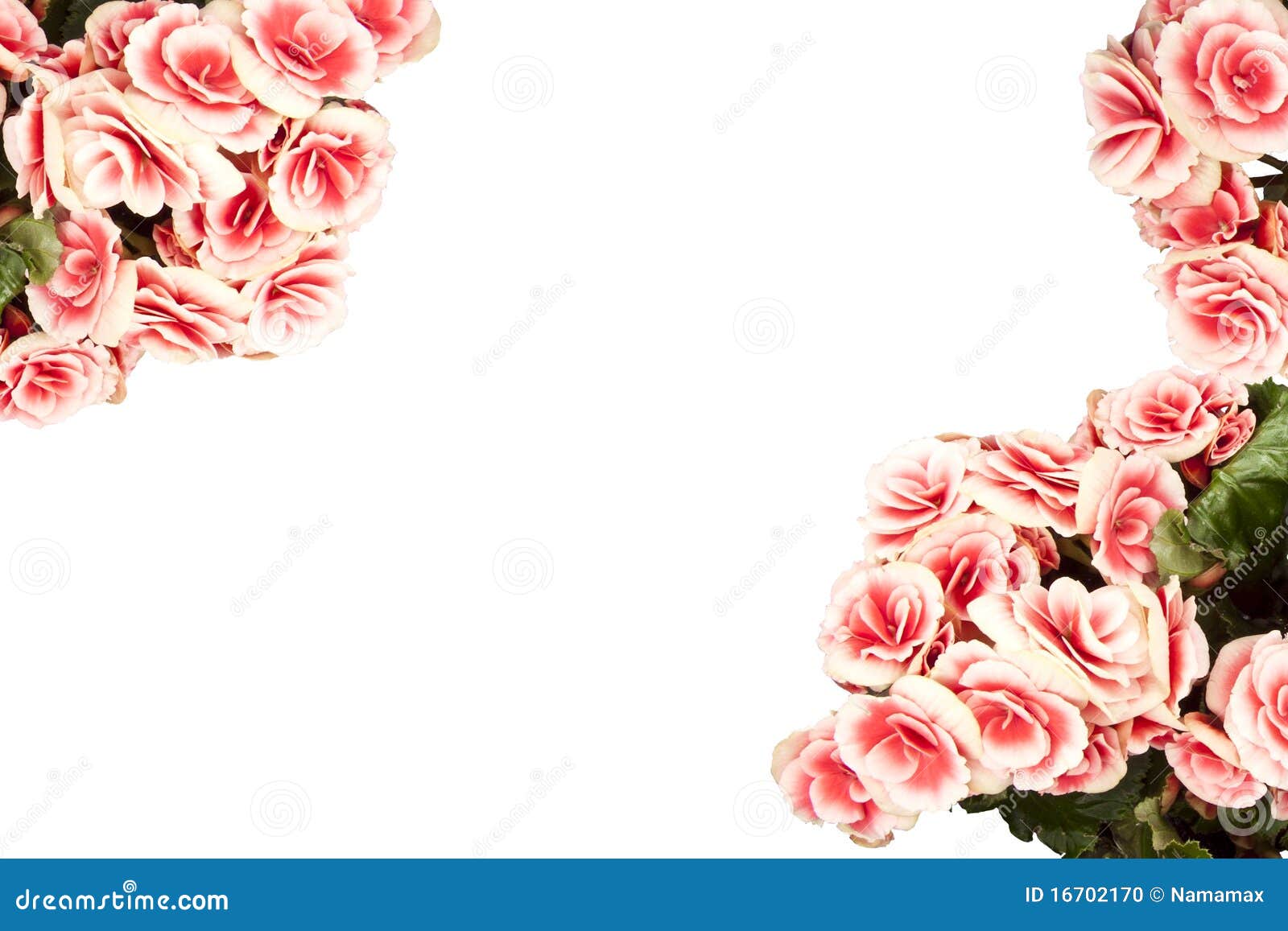 Flowers post card stock illustration. Illustration of green - 16702170