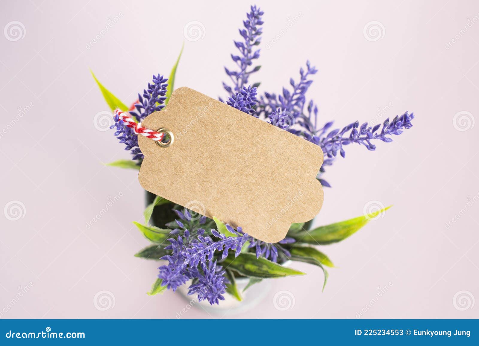 Flowers in a Pot with Empty Gift Tag Stock Image - Image of pink, pots ...