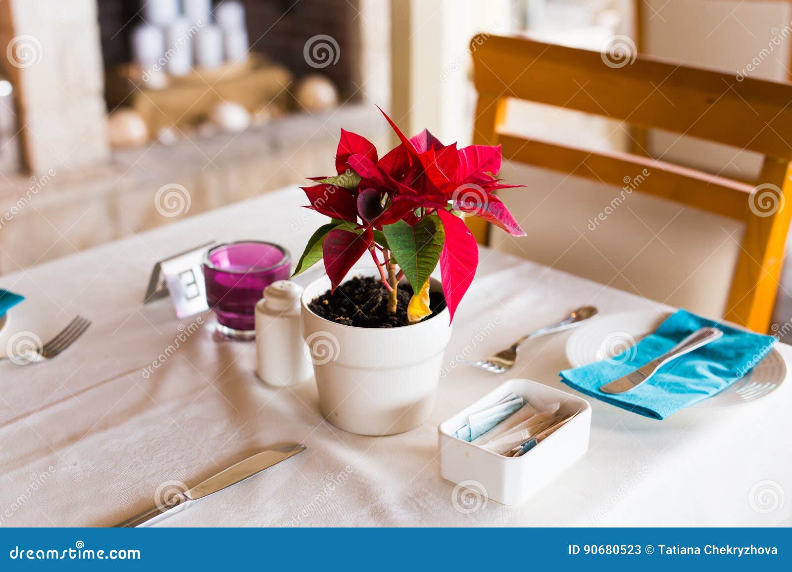 Flowers Pots Decoration on the Table Stock Image - Image of home, bloom ...