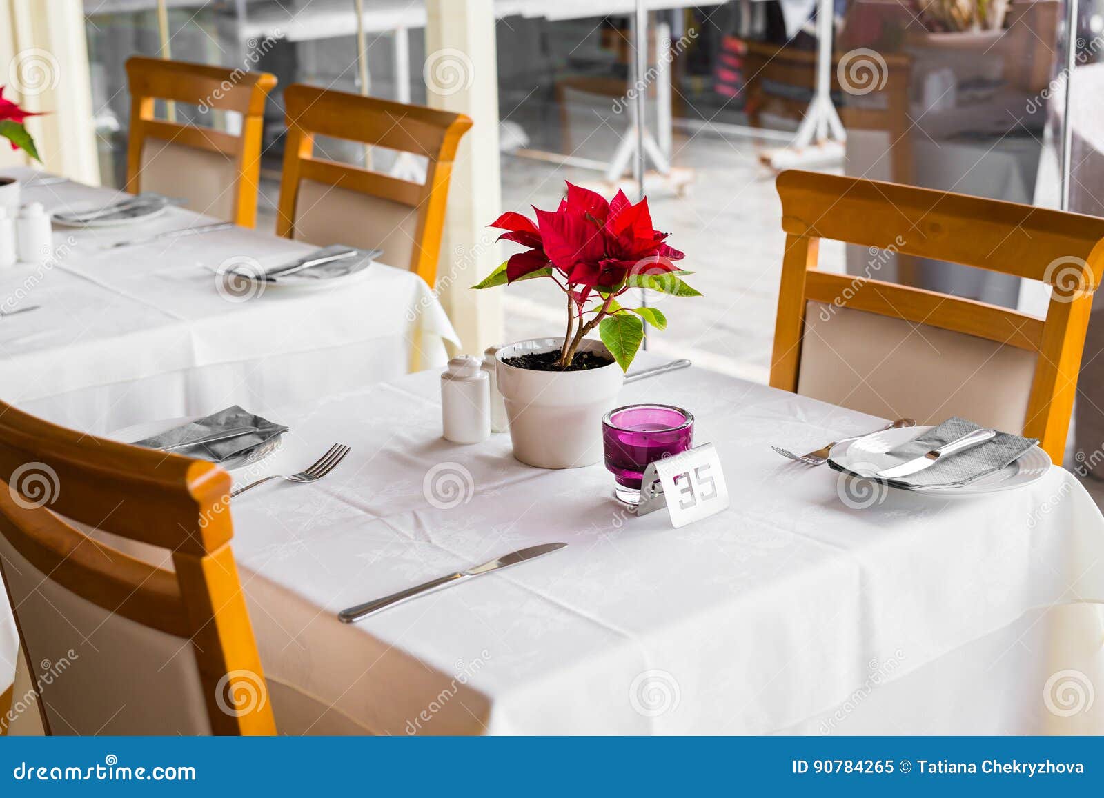 Flowers Pots Decoration on the Table Stock Image - Image of garden ...