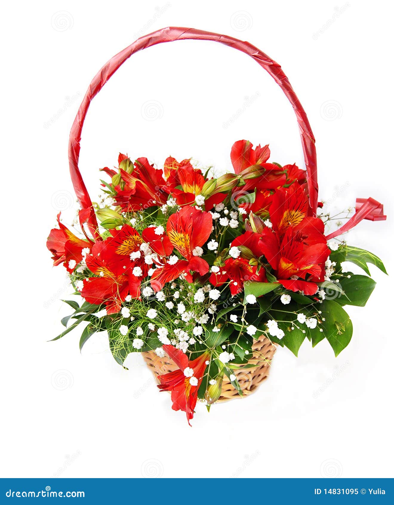 Flowers in punnet stock image. Image of gorgeous, isolate - 14831095