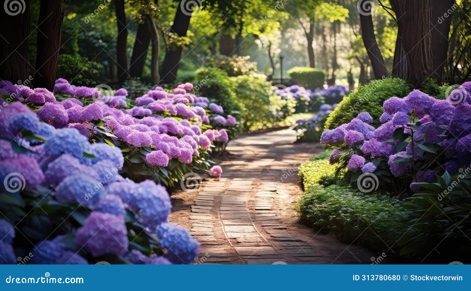 Flowers Purple Hydrangea Border Stock Illustration - Illustration of ...