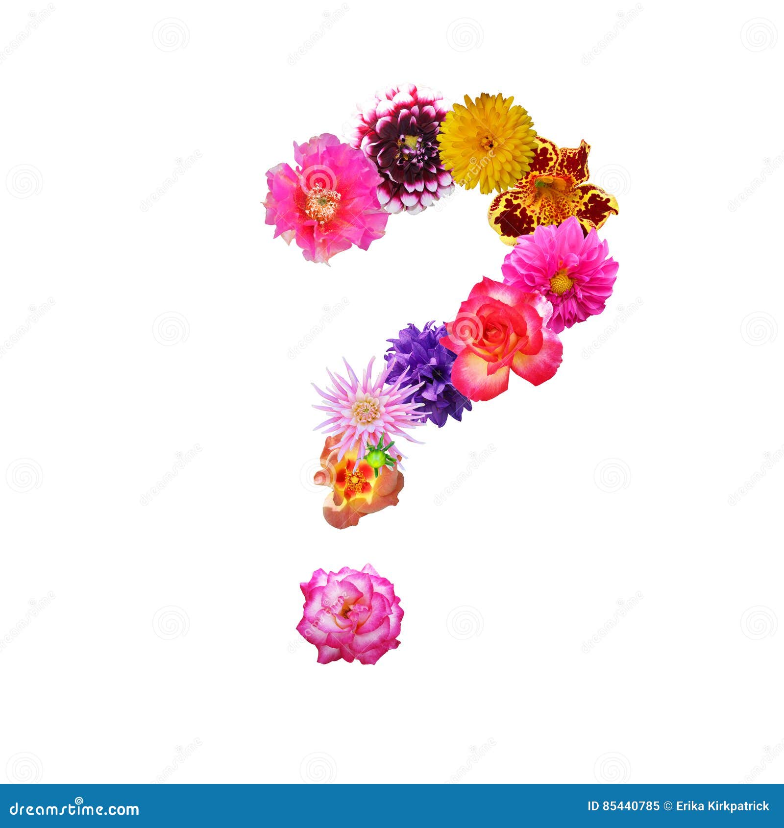 Flowers Question Mark stock illustration. Illustration of card - 85440785