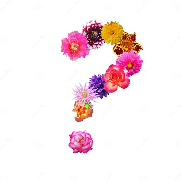 Flowers Question Mark stock illustration. Illustration of card - 85440785