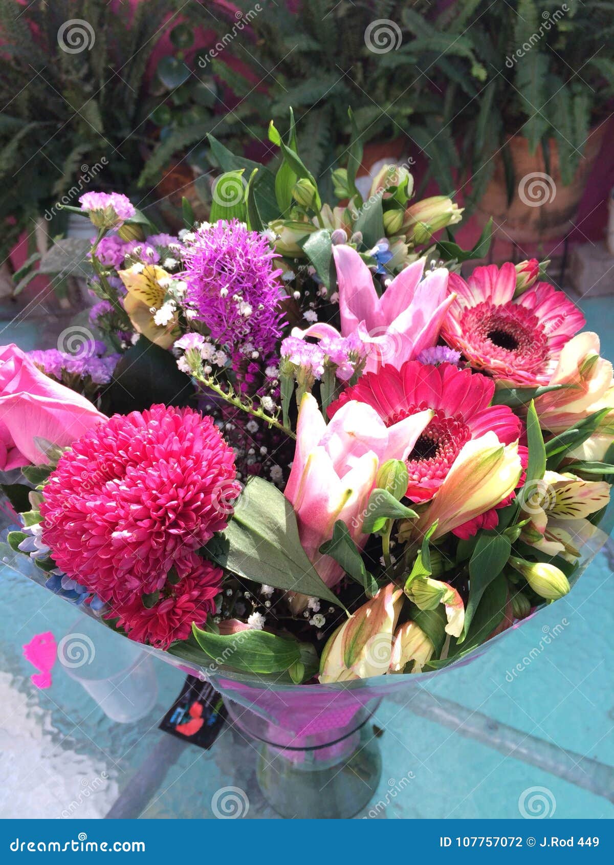 Flowers stock photo. Image of flores, aguascalientes - 107757072