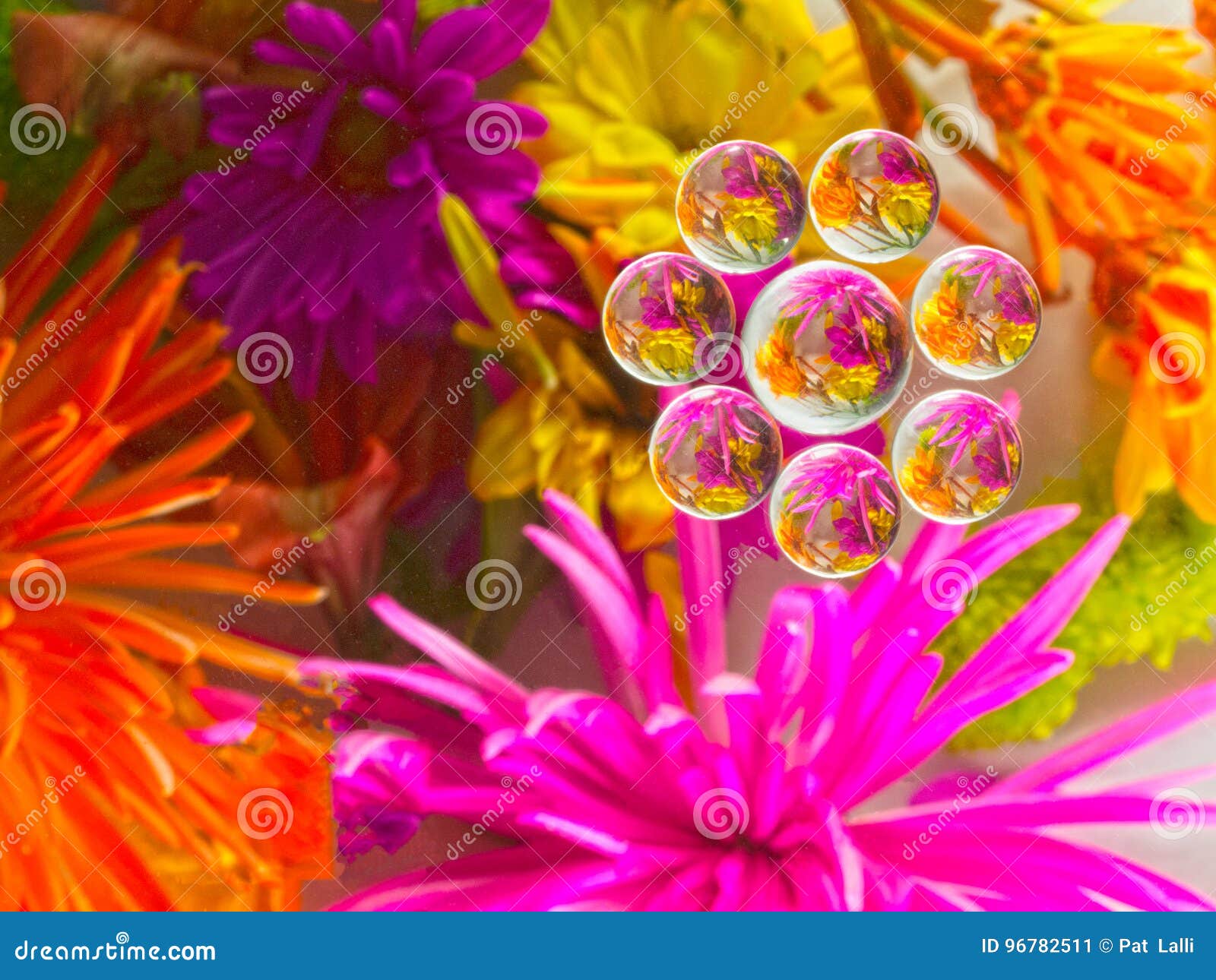 FLOWERS REFRACTION 12 stock image. Image of optic, clear - 96782511