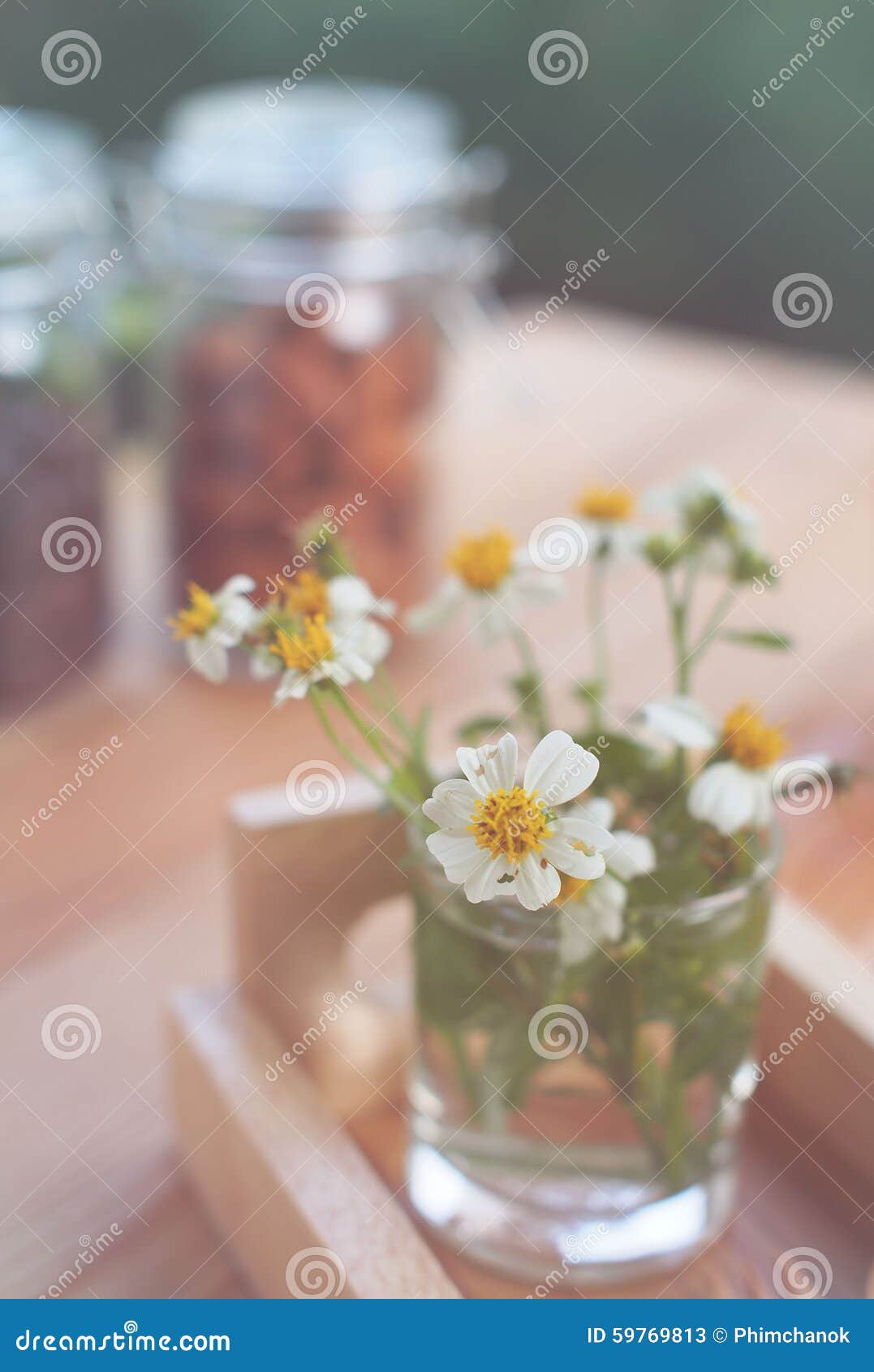 Flowers on relax time stock image. Image of relax, time - 59769813