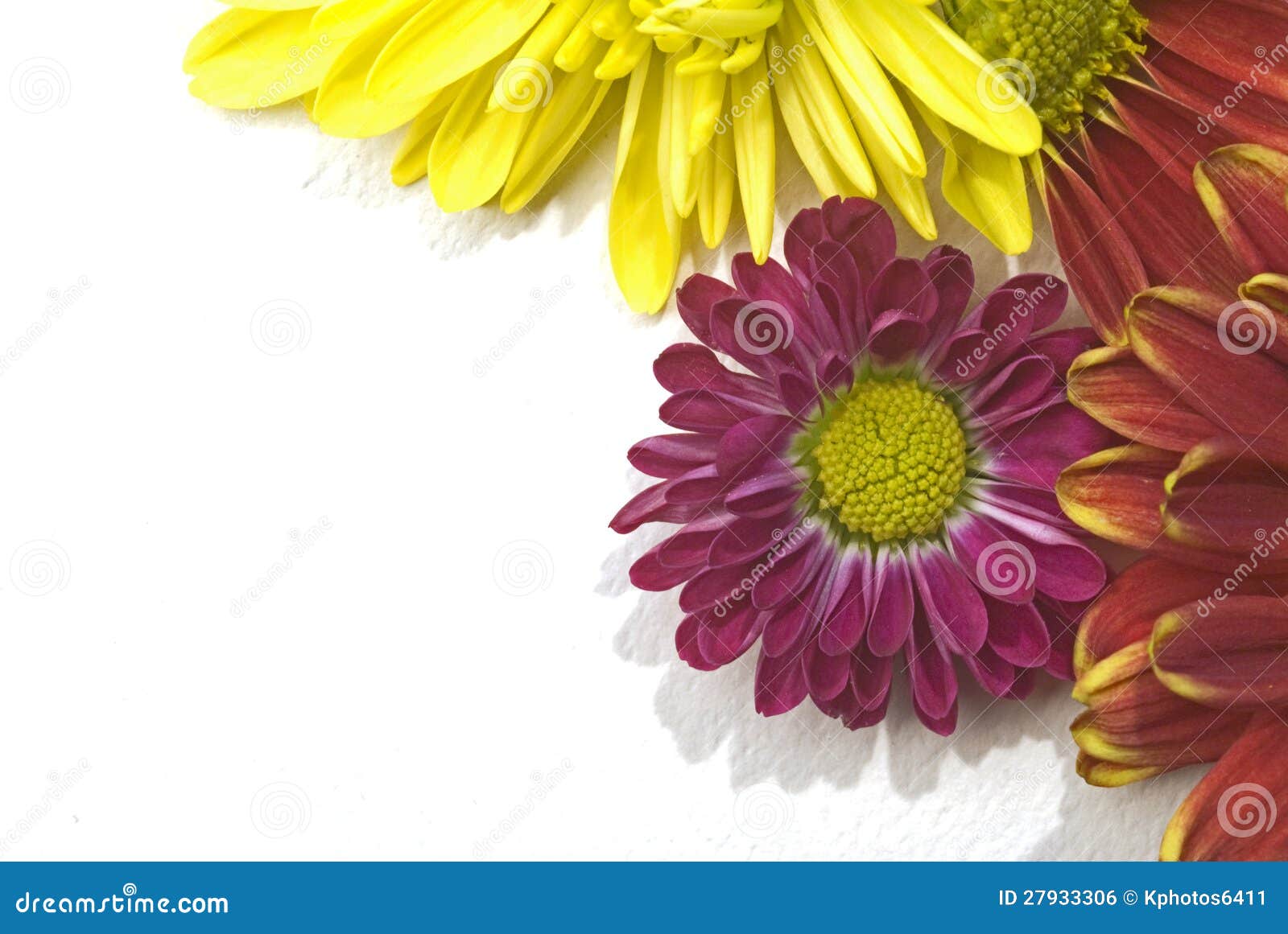 Flowers right corner stock photo. Image of seasonal, border - 27933306