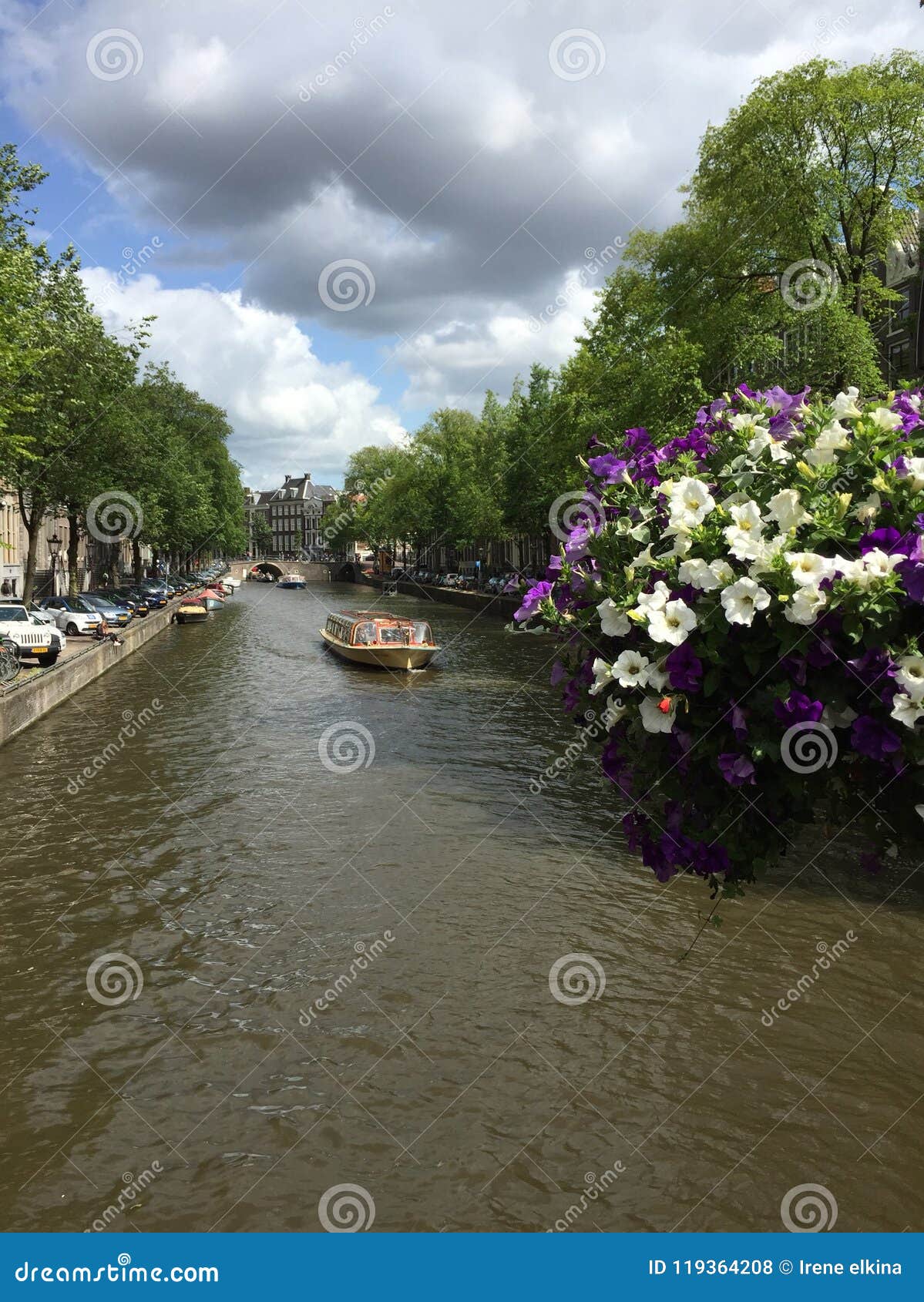 Amsterdam stock photo. Image of flowers, fresh, amsterdam - 119364208