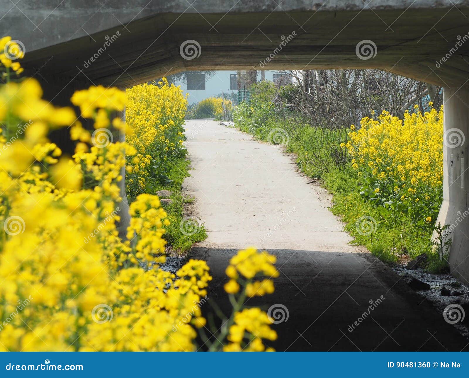 Flowers in the road editorial image. Image of travel - 90481360