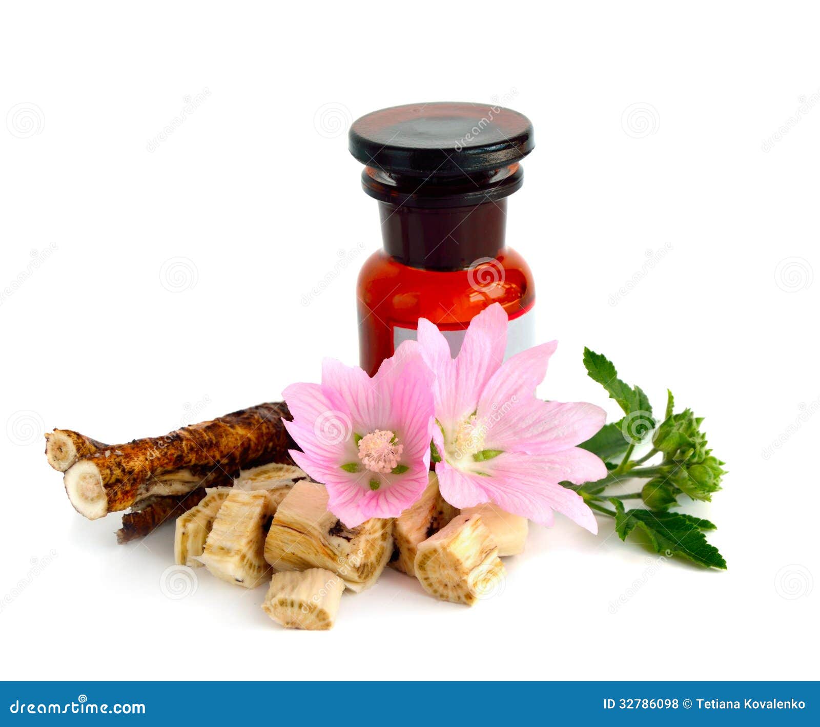 Flowers and Roots Althaea (genus) Stock Photo - Image of dried, closeup ...