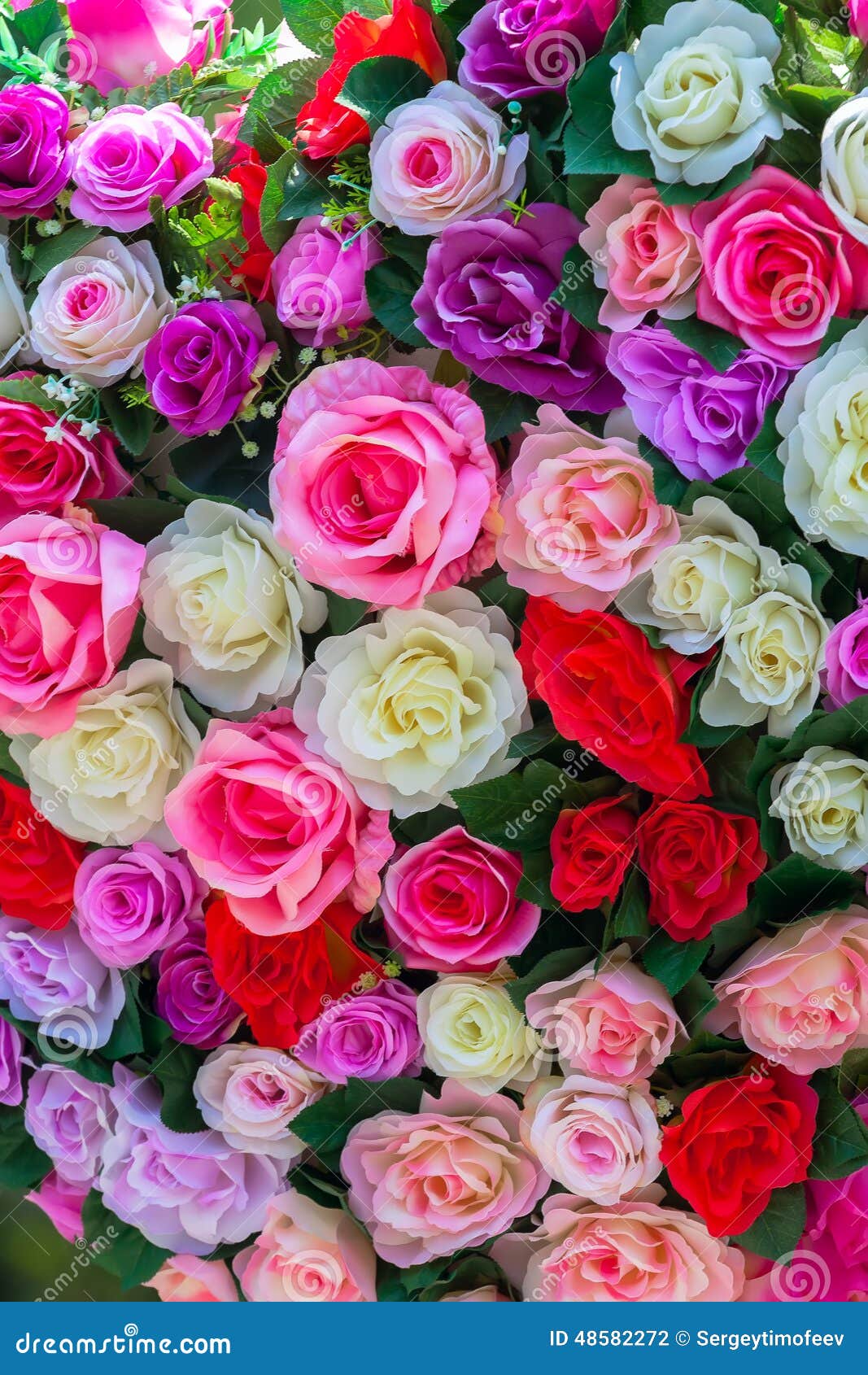 Flowers roses, texture stock photo. Image of leaf, group - 48582272