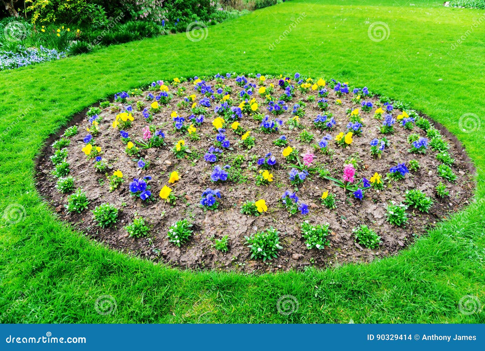 Flowers in a Round Bed in the Middle of a Grass Area Stock Photo ...