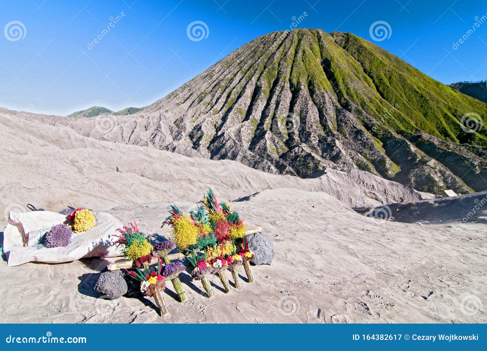 Flowers for Sacrifice To Mount Bromo of the Tengger Massif, in East ...