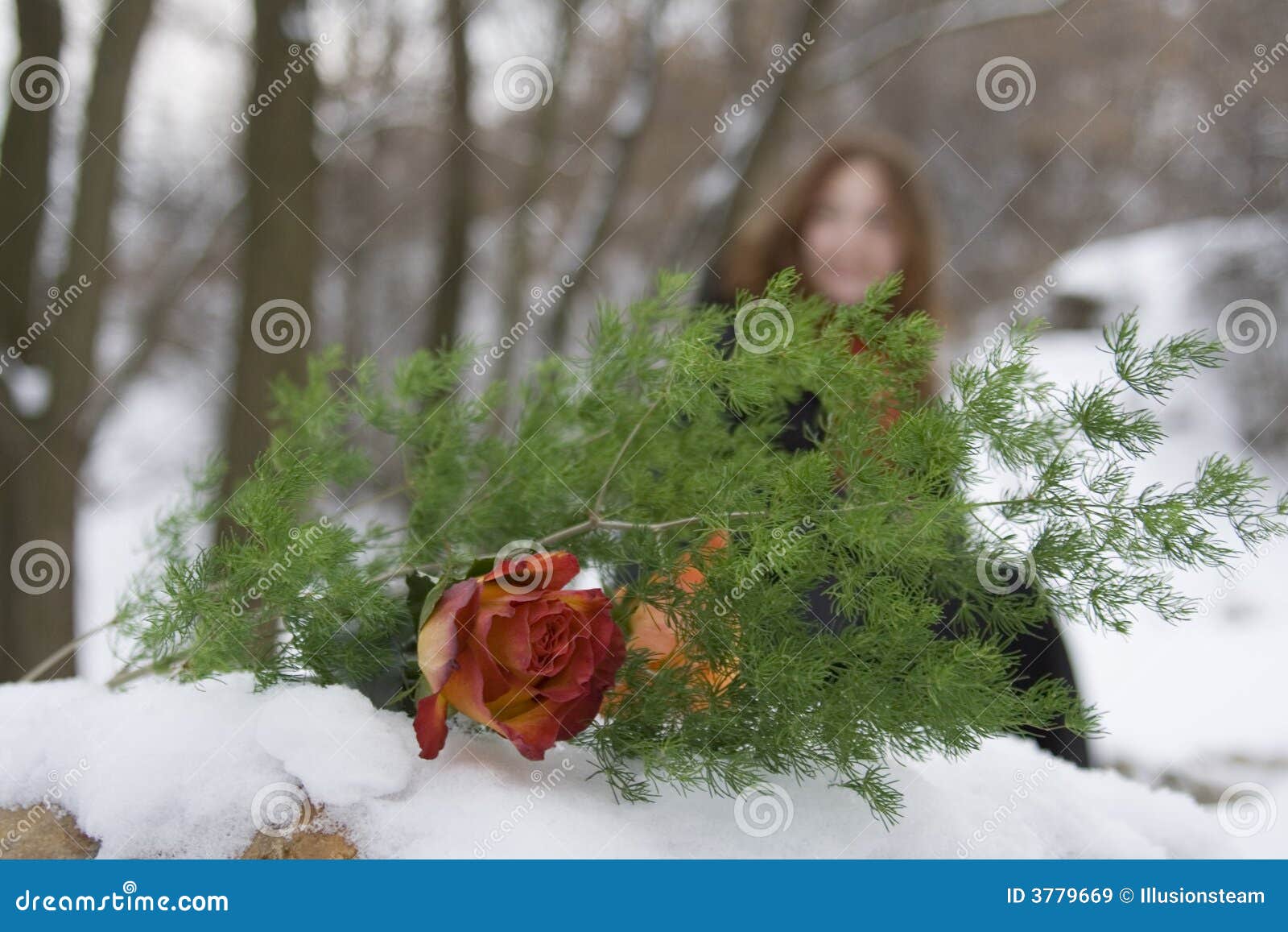 Flowers Of Sadness Picture. Image: 3779669