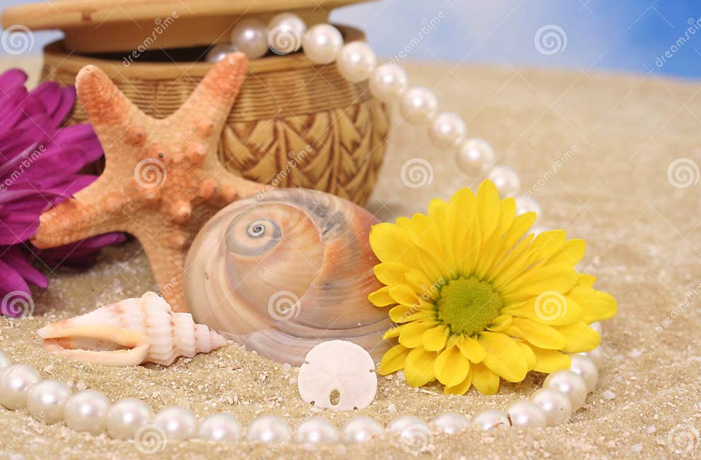 Flowers and Sea Shells stock photo. Image of aqua, spring - 5843808