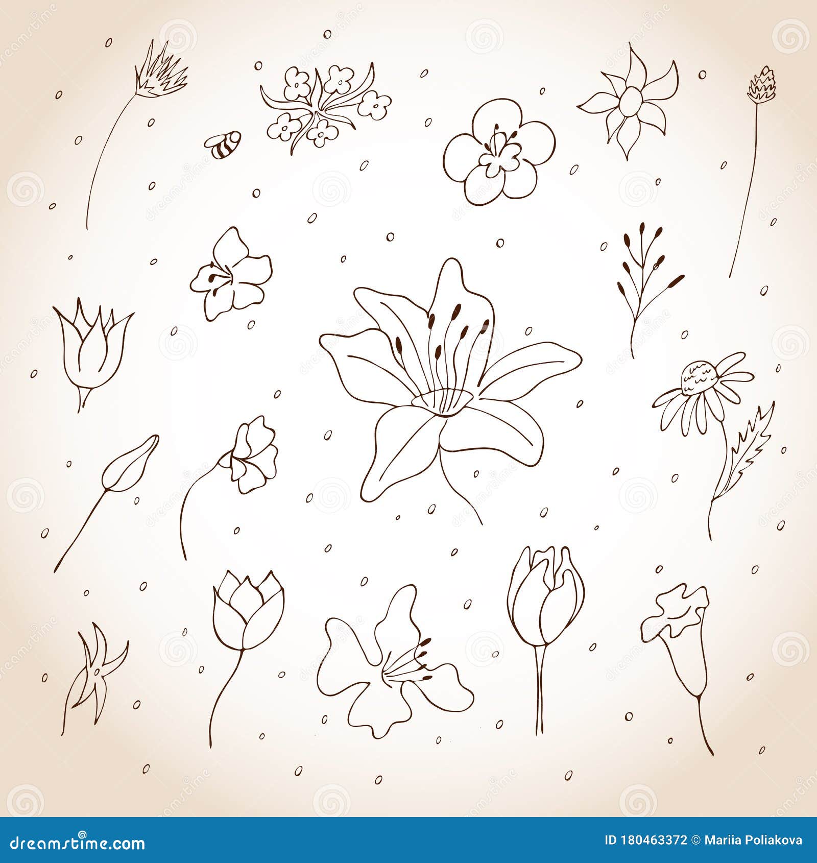 Flowers Set Hand Drawn Line. Coloring. Image for Your Decor and Design ...