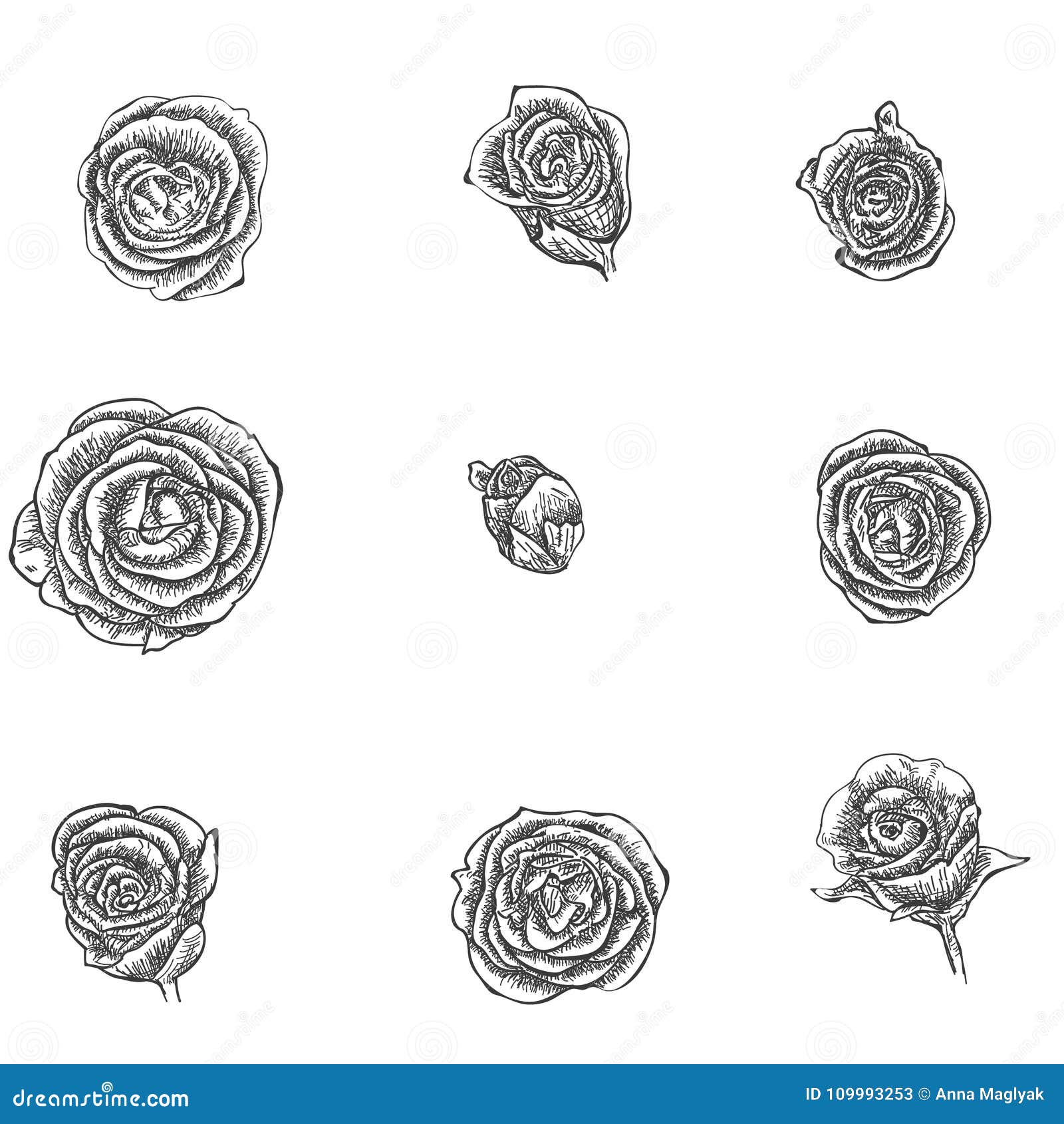Flowers Set. Hand Drawn Rose Vector Stock Vector - Illustration of love ...