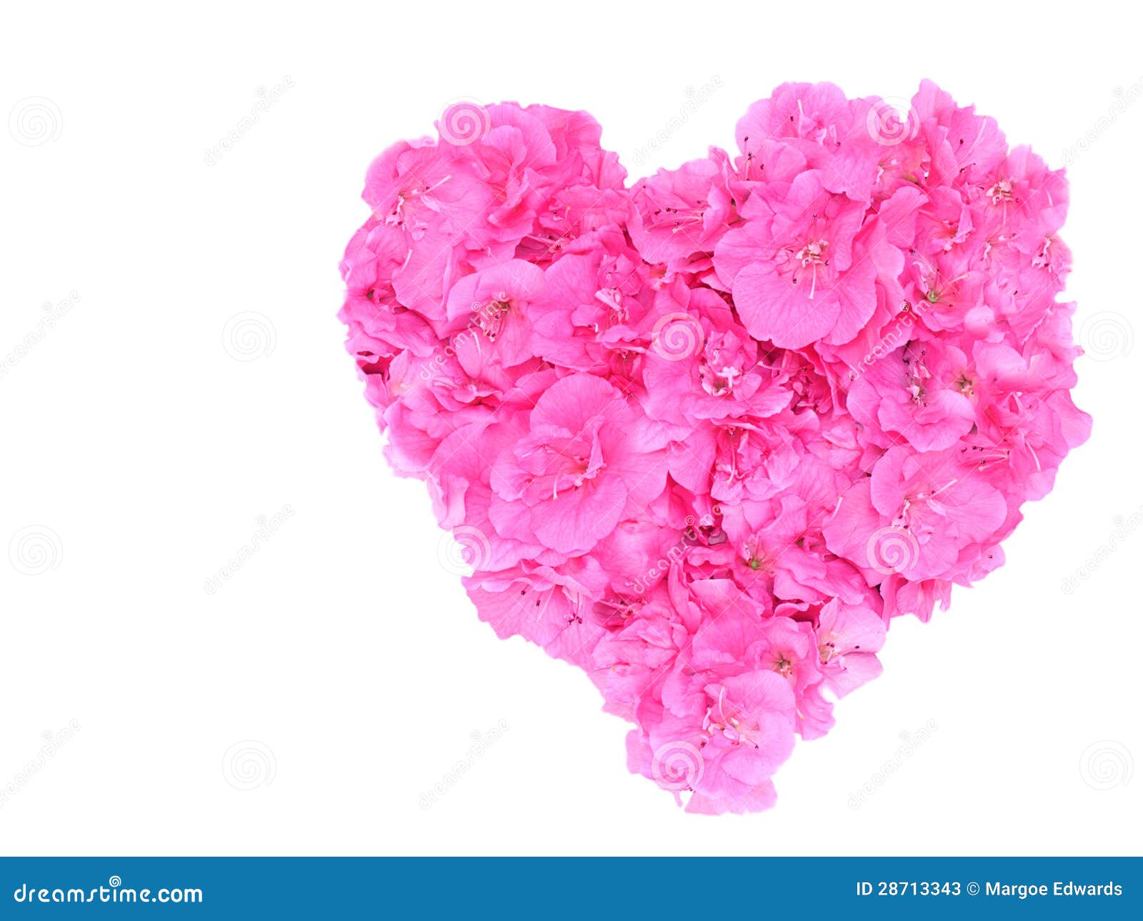 Flowers in the Shape of a Heart Stock Image - Image of happy, floral ...