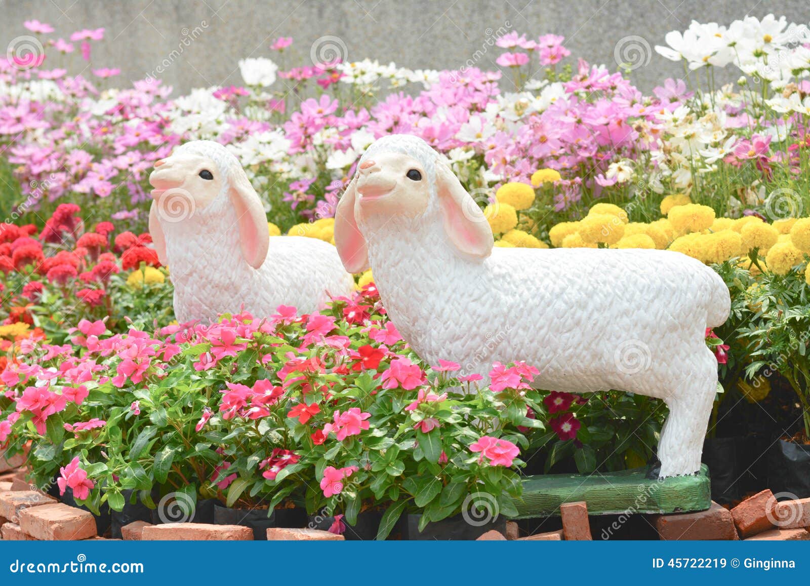 Flowers and sheep stock image. Image of greenfield, sheeps - 45722219
