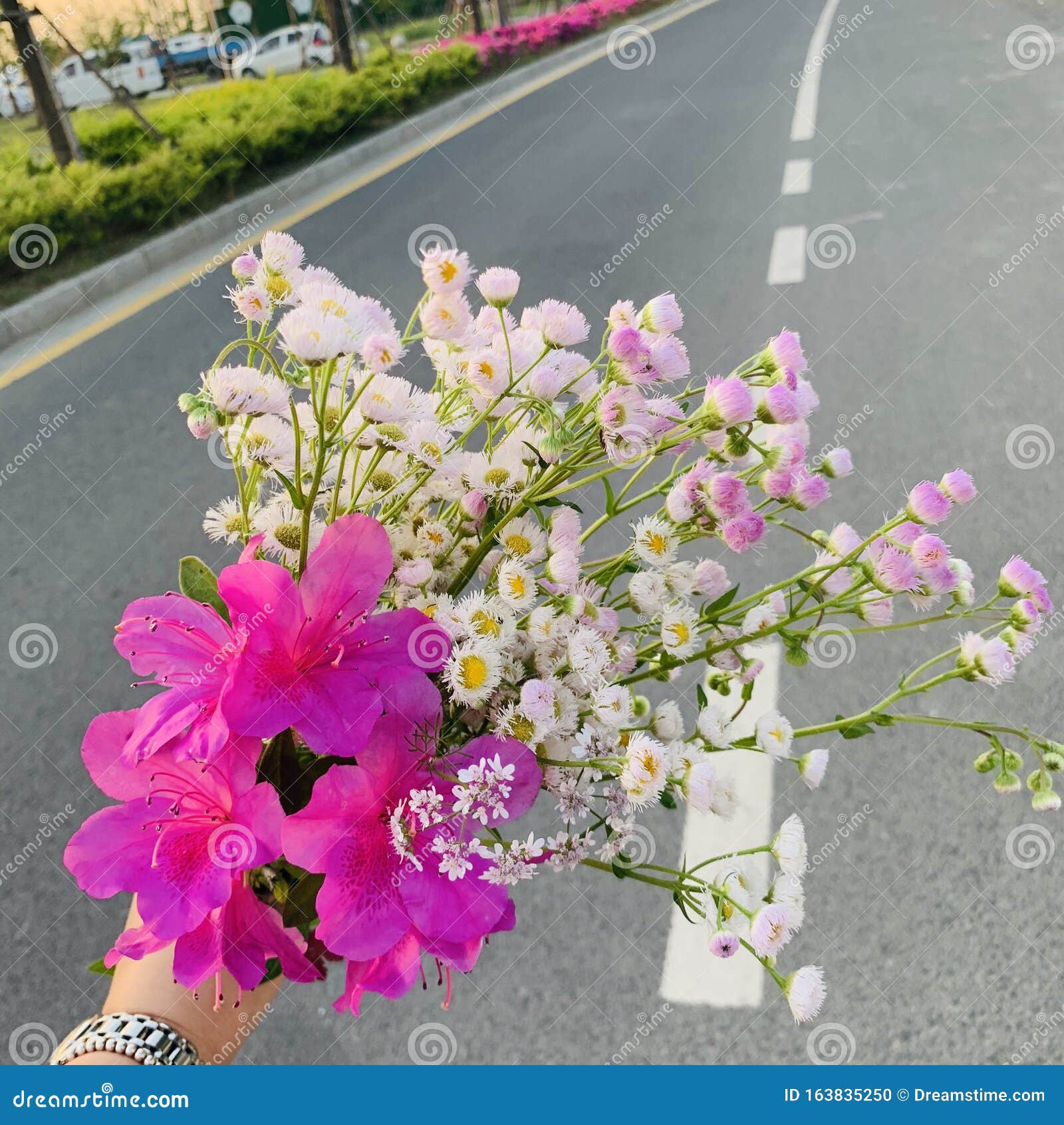 Flowers on the Side of the Road Stock Photo - Image of name, flowers ...